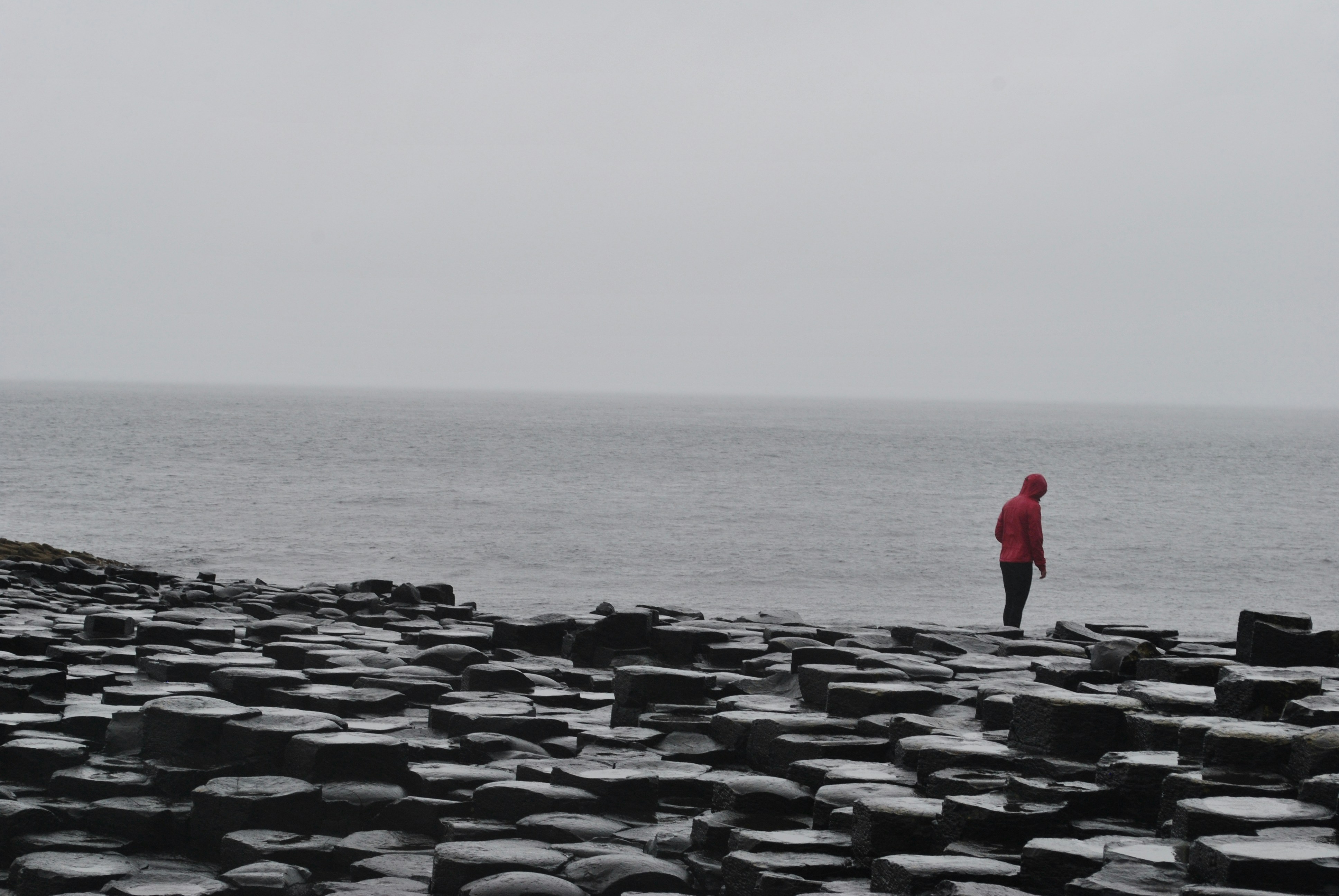 A person standing on a rocky beach near the ocean photo – Free Northern ...