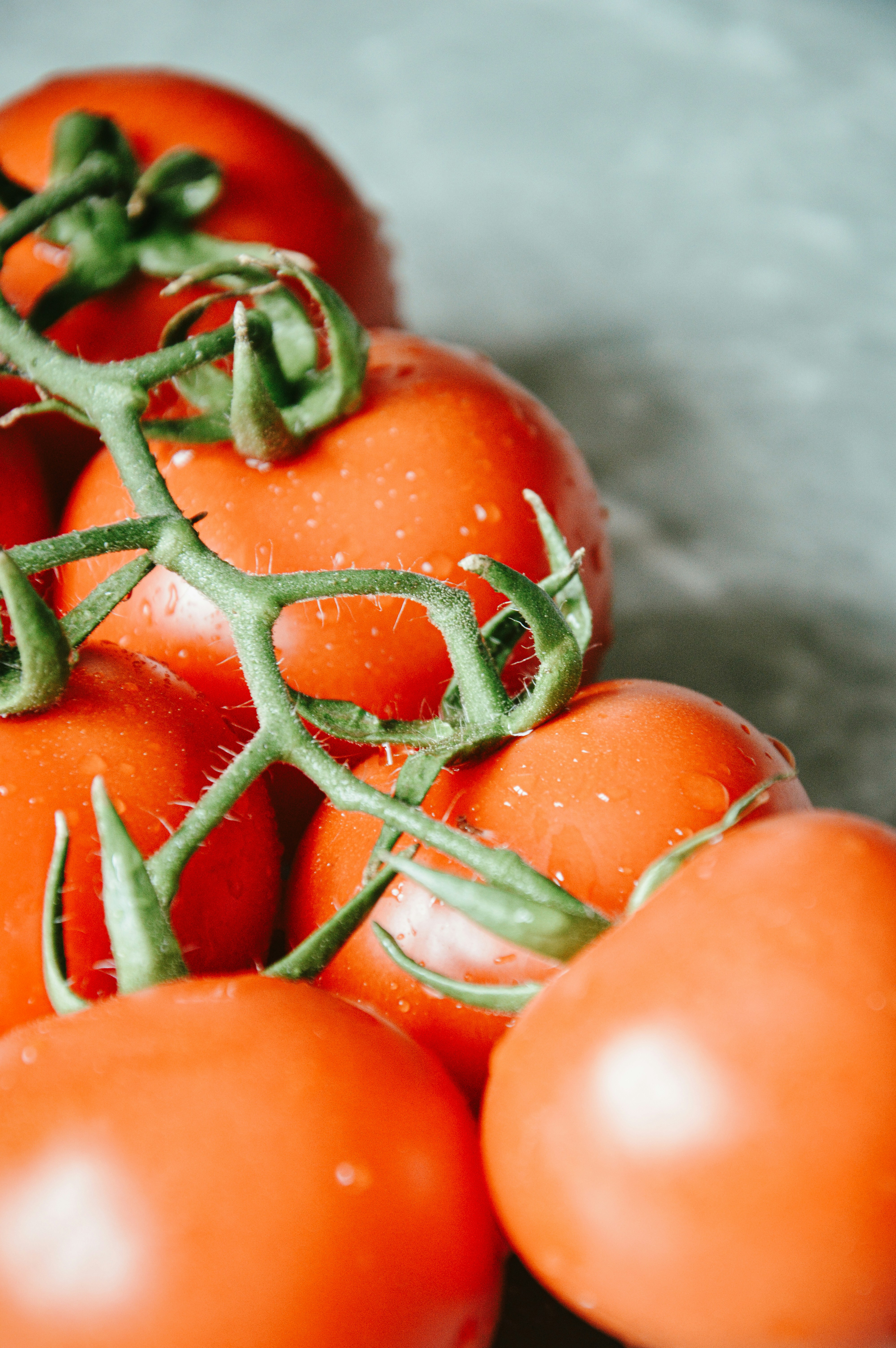 A bunch of tomatoes that are on a table photo – Free Food Image on Unsplash