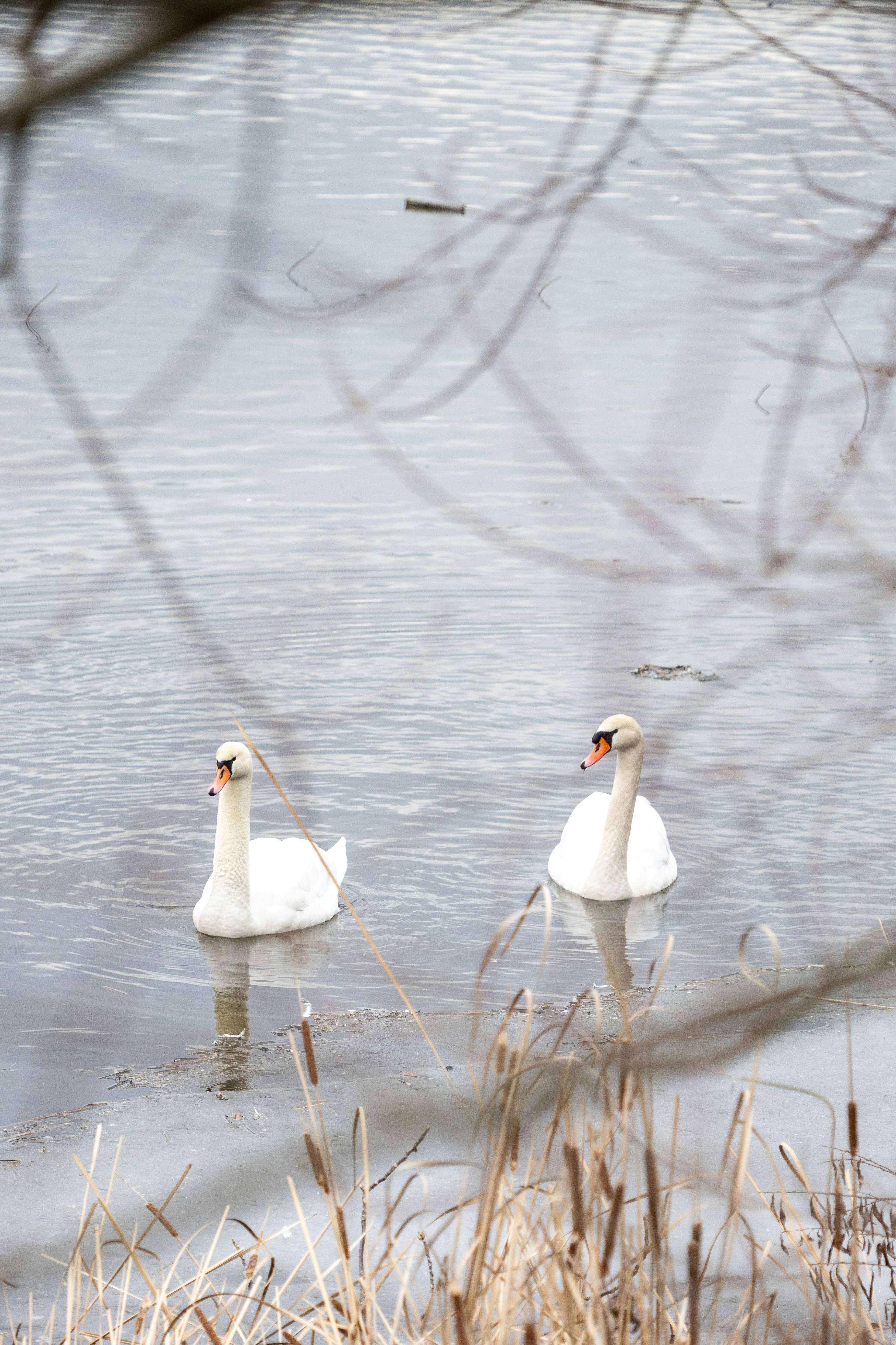 Photo by Sandra-Beatrice Molnar with Nikon Z8