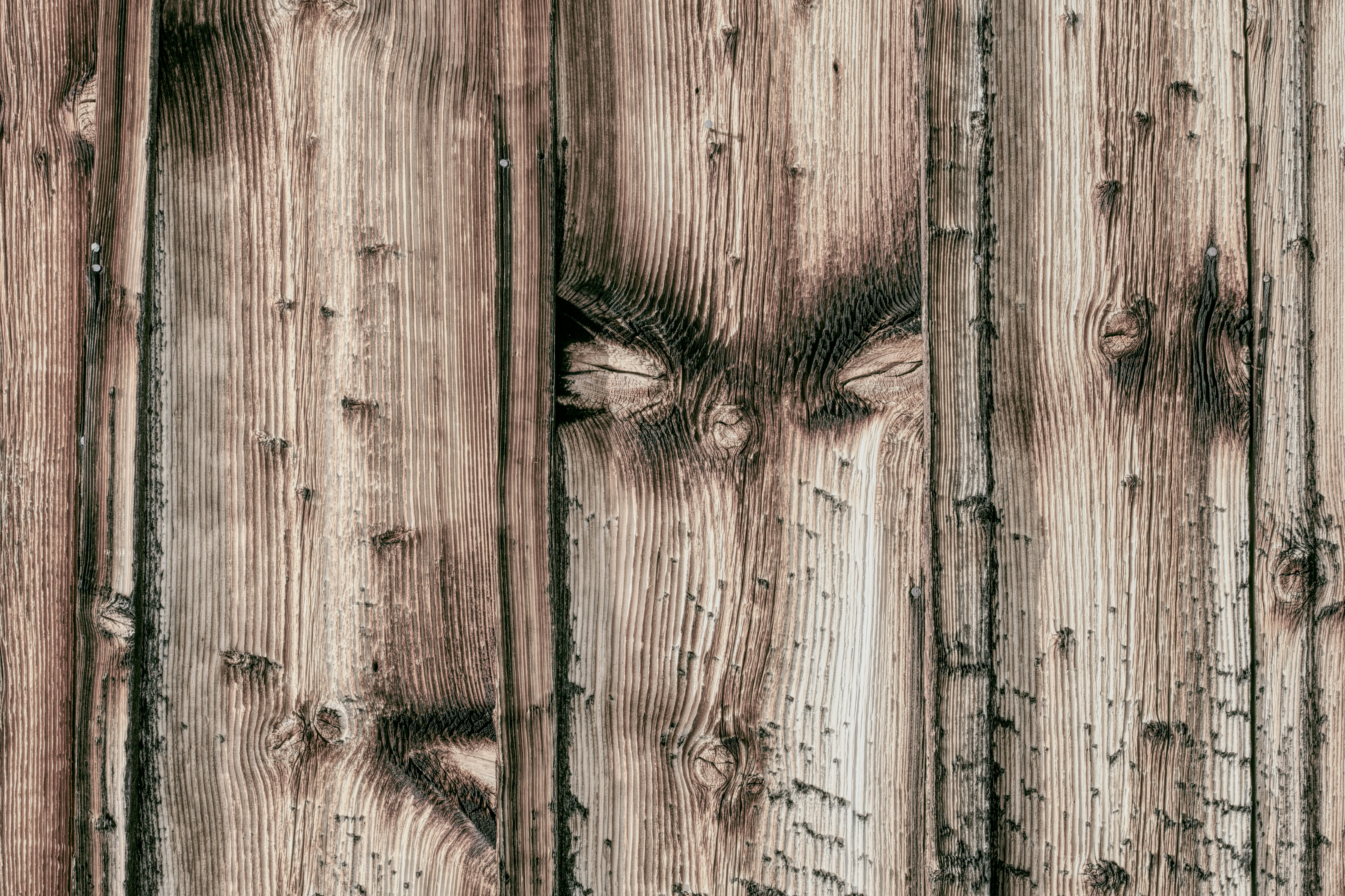 Knot-Eyes: A Quiet Face Formed by Weathered Timber