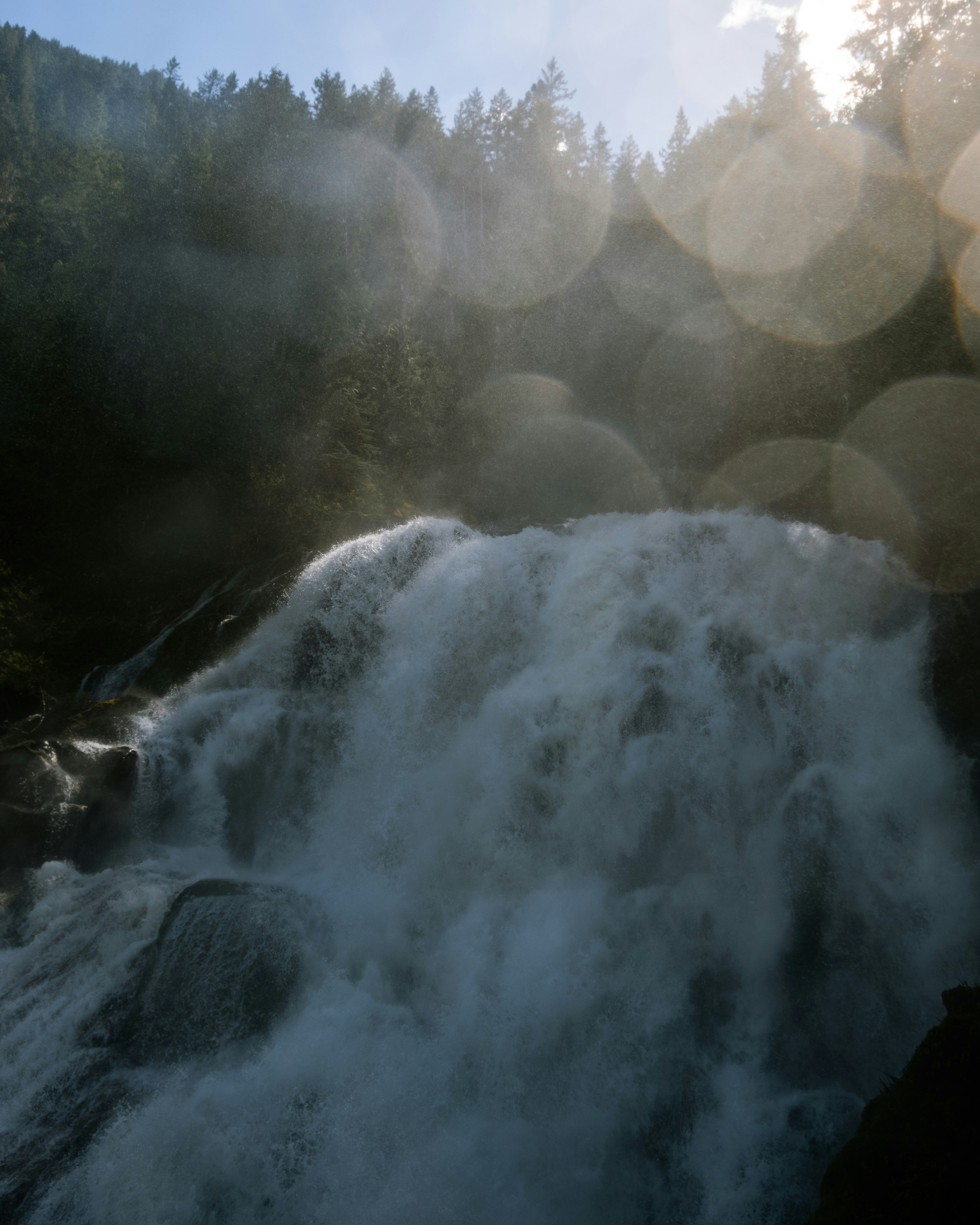 Cascade in Forest Veil: Mist, Moss, and Orbs of Light