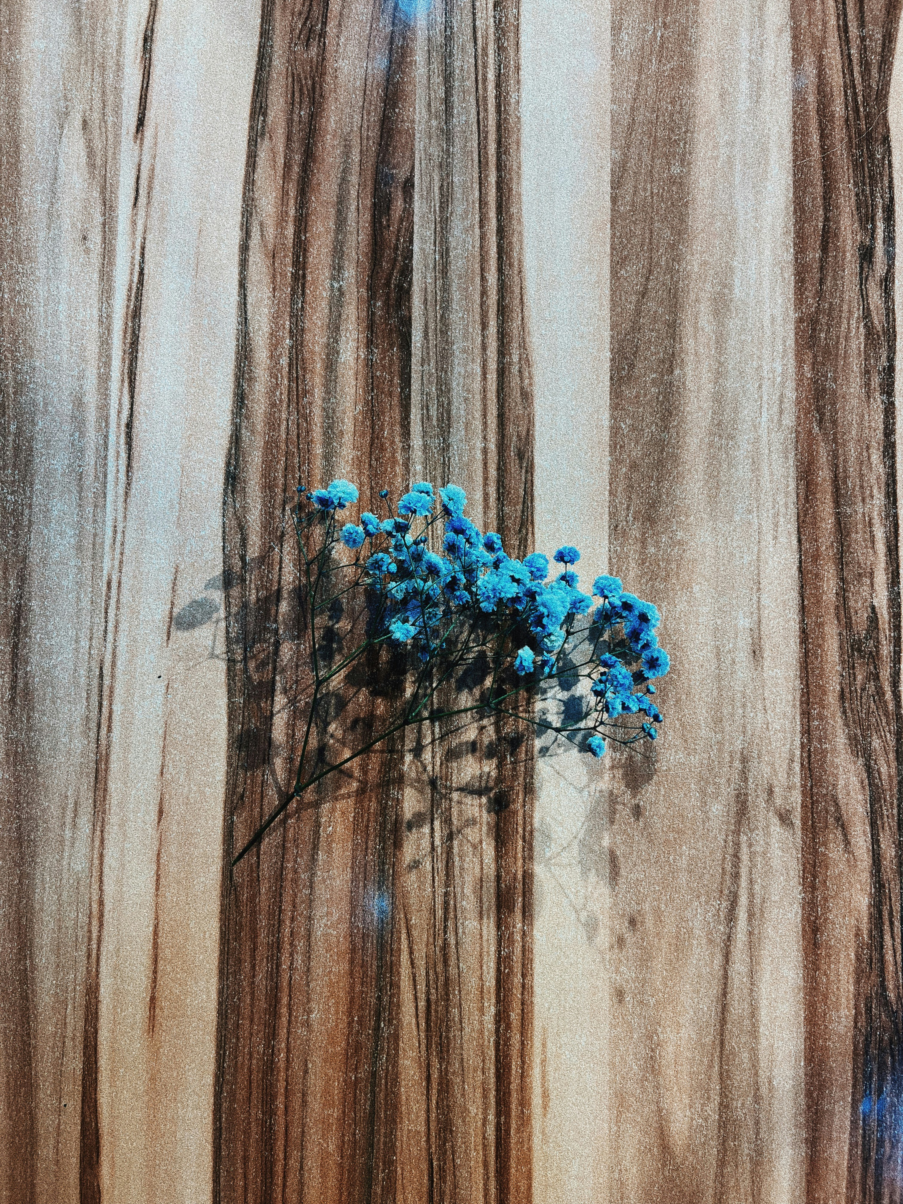 Blue Bouquet Adrift on Vertical Timber Stripes