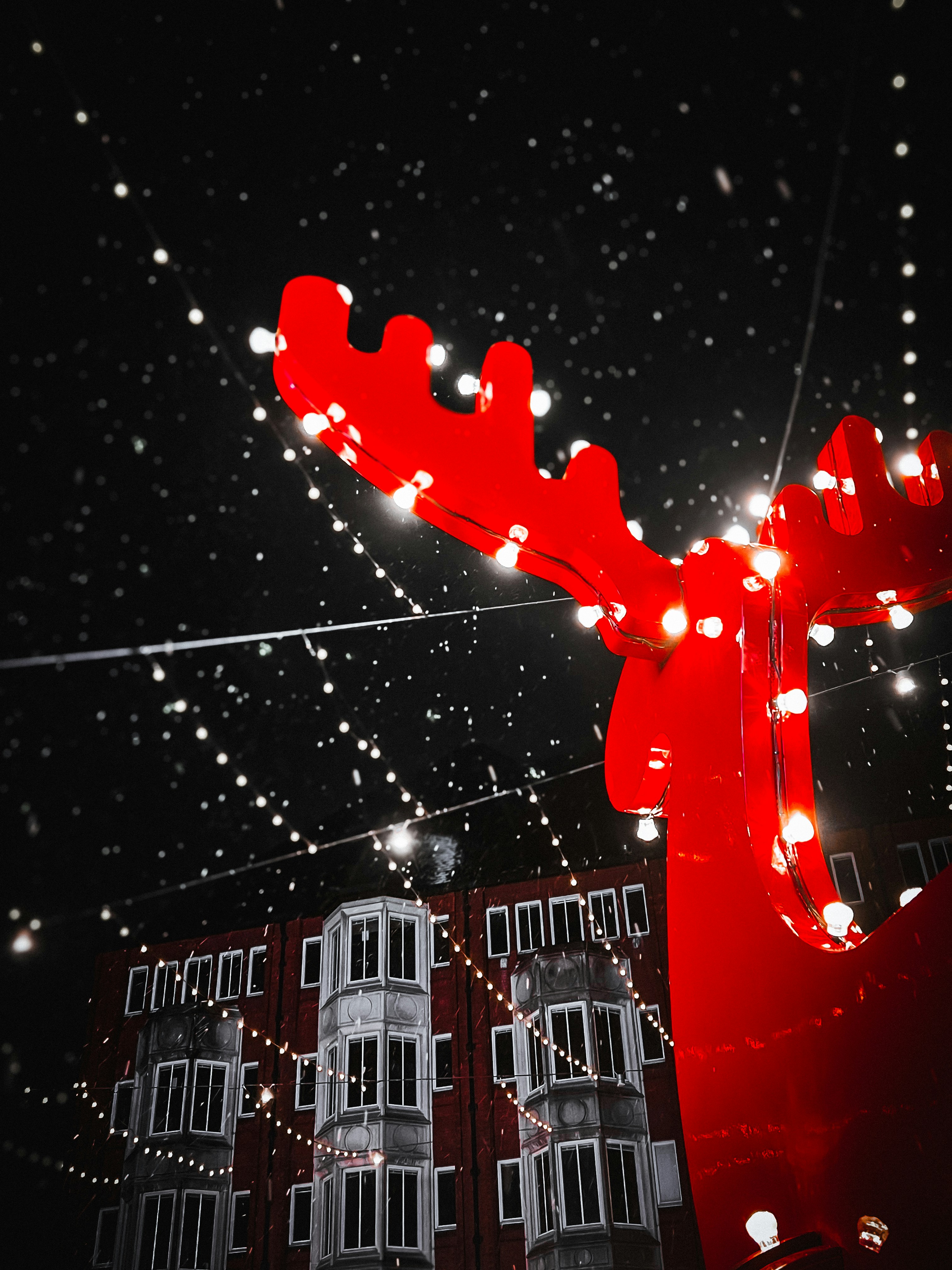 Red Neon Reindeer Archway under Starry Lights