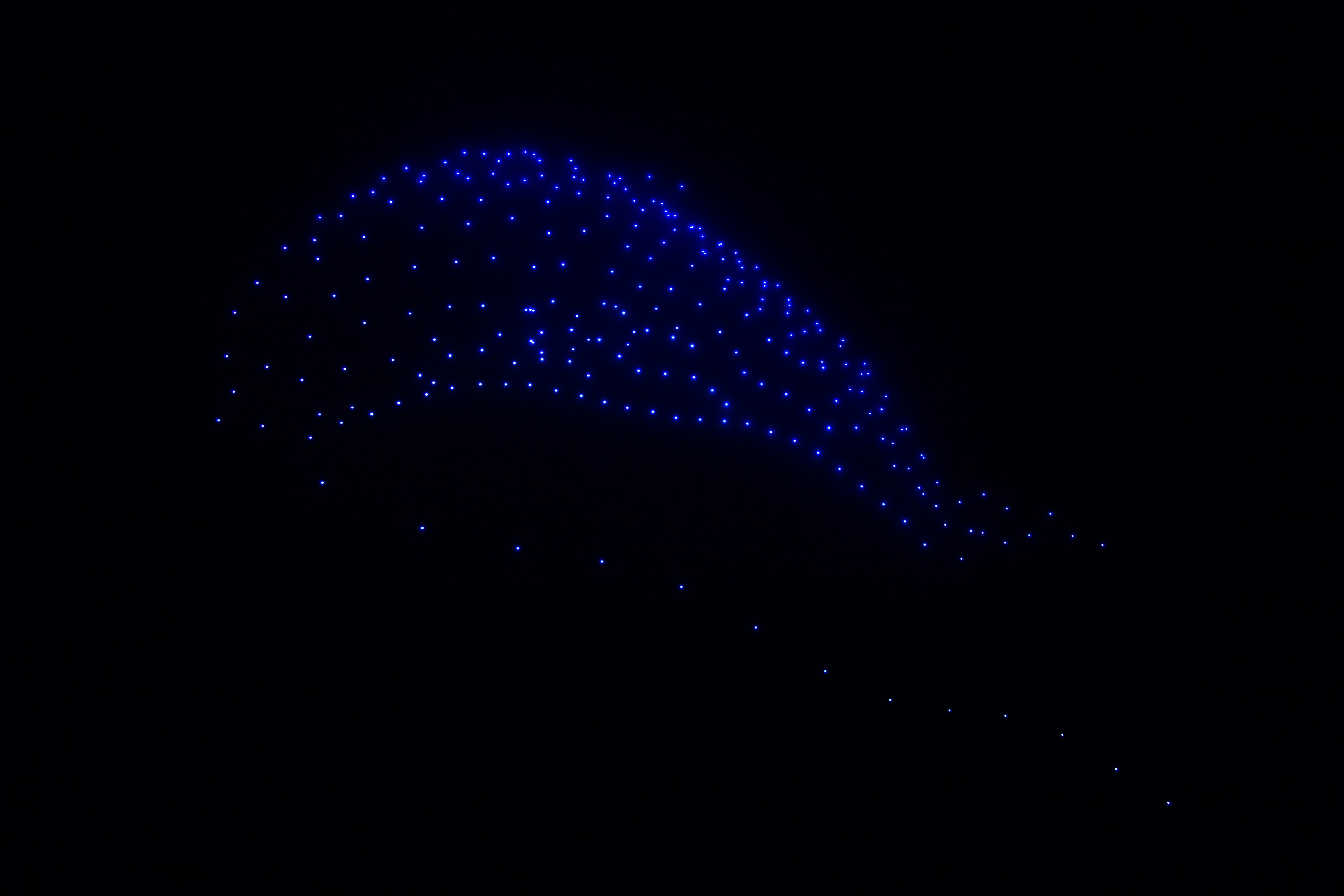 250 drones "dance" on the night sky in Gdynia to celebrate the 98th birthday of the city. A mermaid (morświn) is a cousin of dolphins and an endangered species of the Baltic Sea