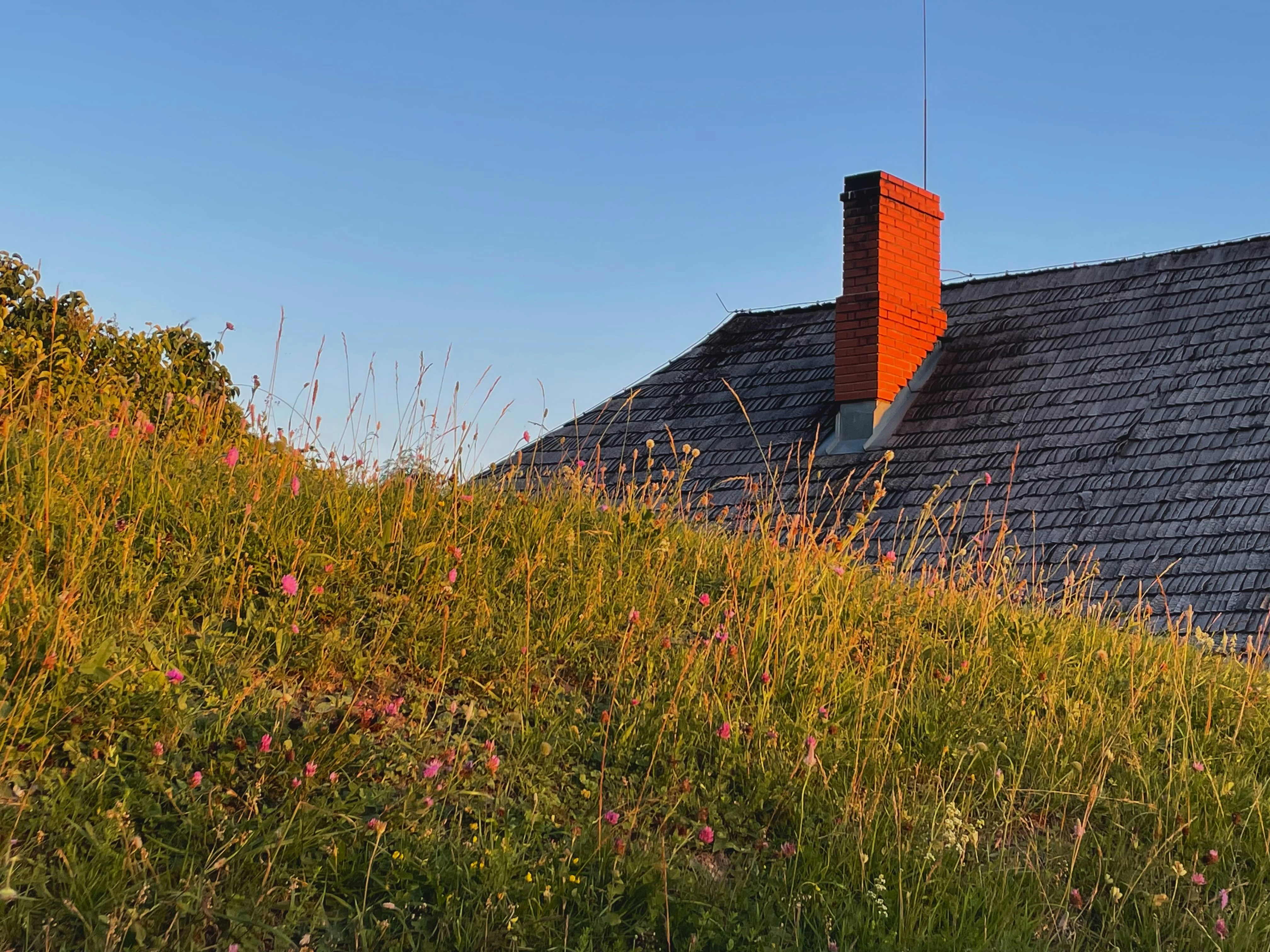 Red chimney atop a house peeks over a grassy hill in warm evening light.