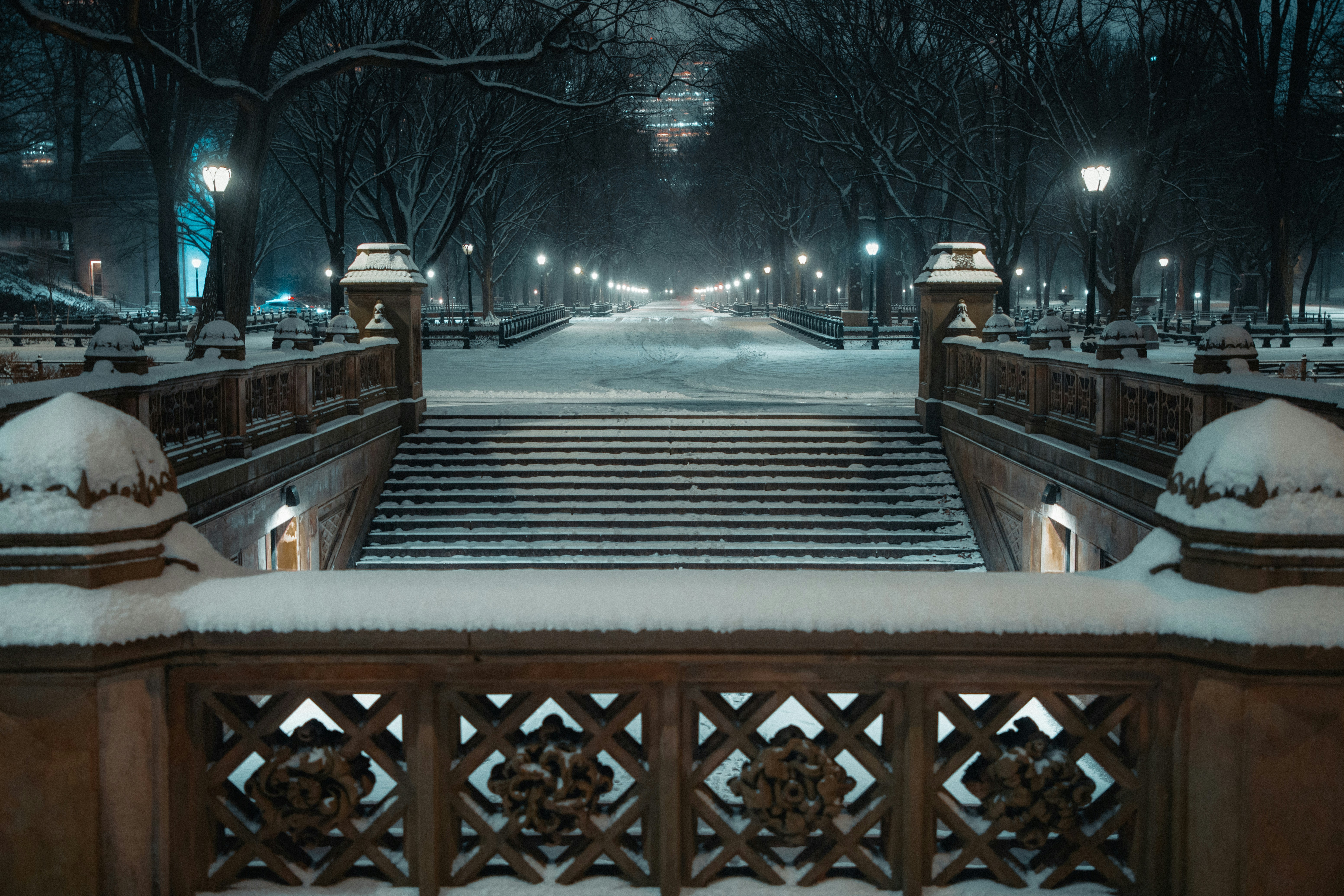 A snowy night in a park with benches and lights photo – Free Grey Image ...