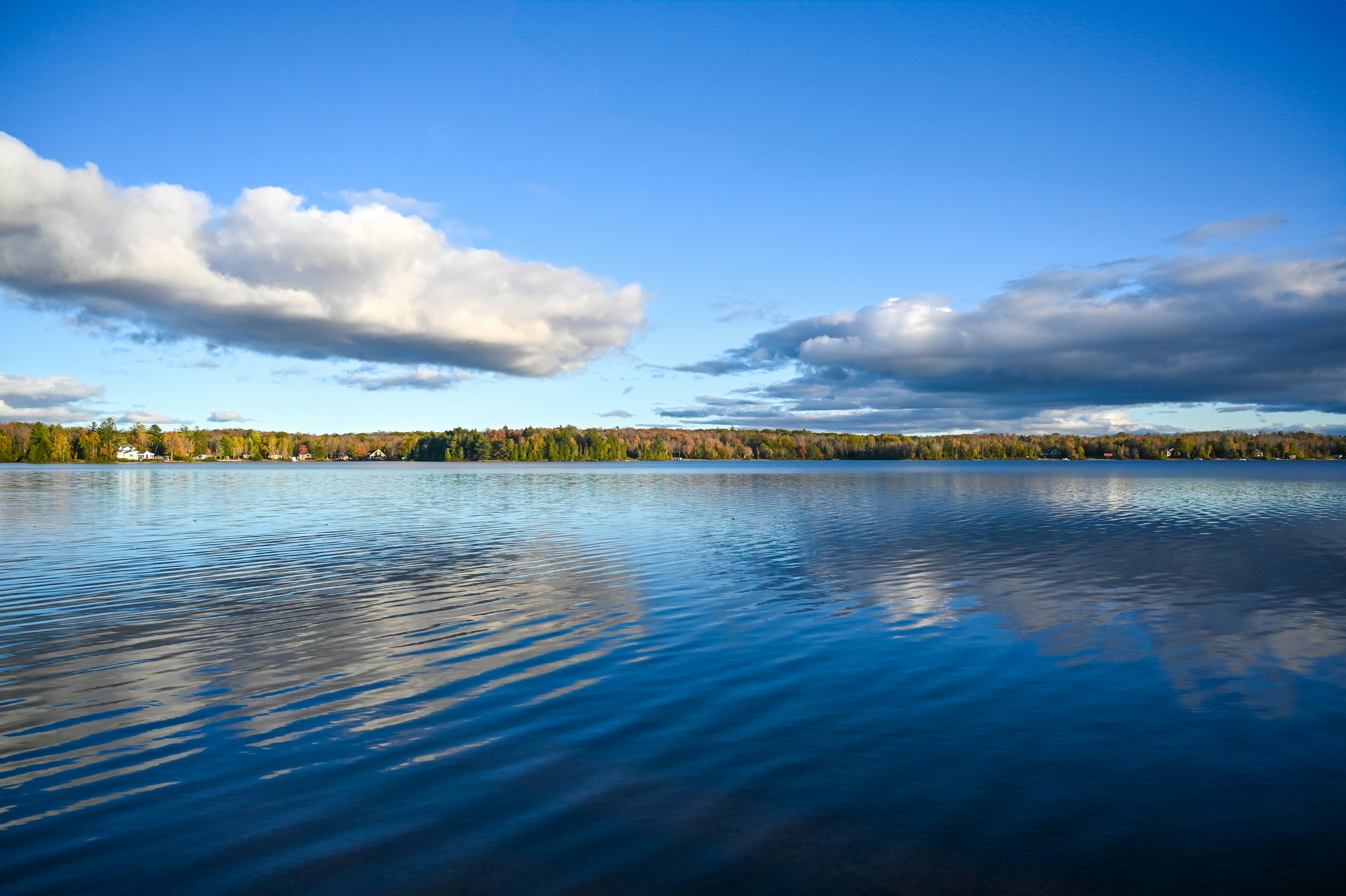 Serene lake reflecting the sky and surrounding trees, with gentle ripples on the water's surface.
