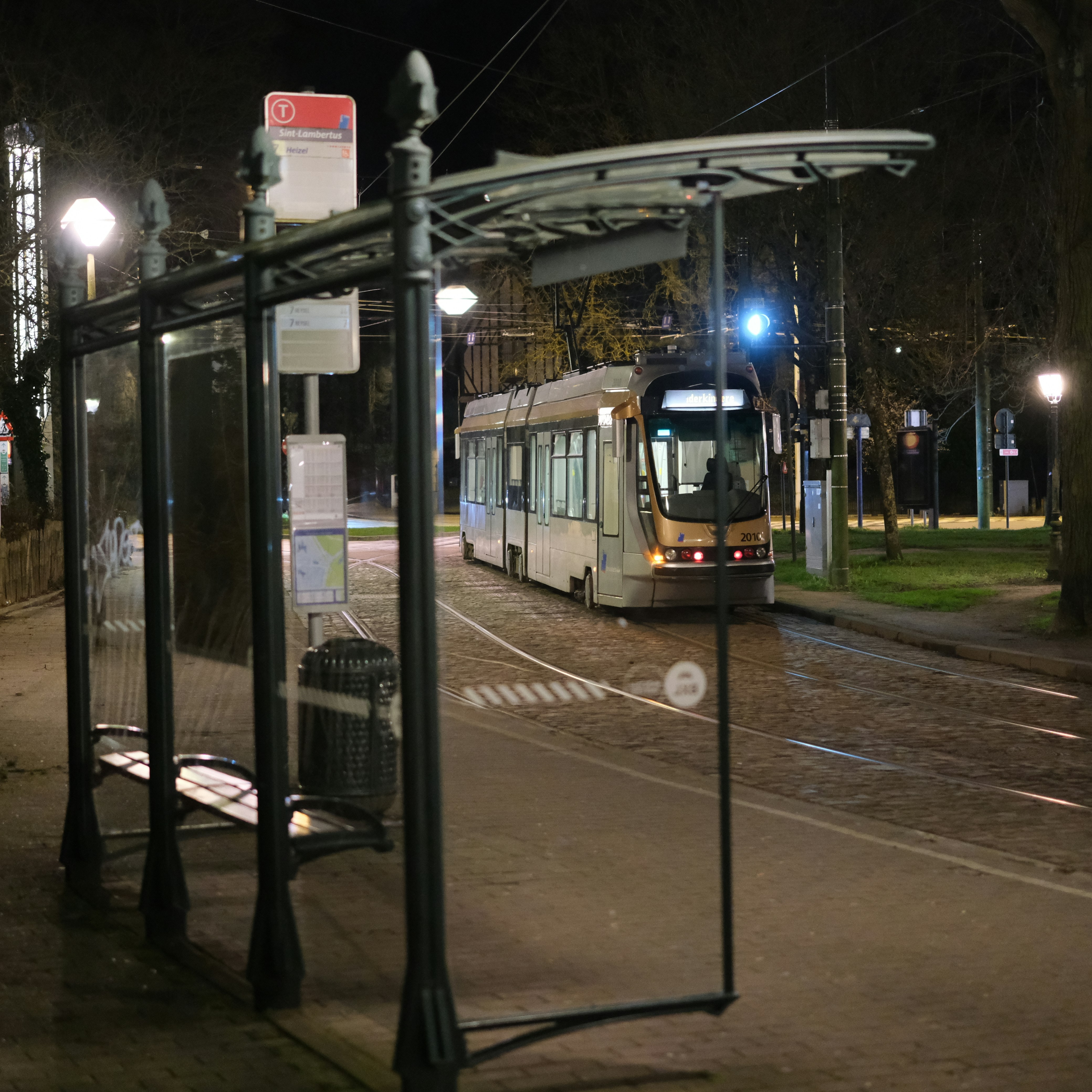 A public transit bus on a city street at night photo – Free Human Image ...