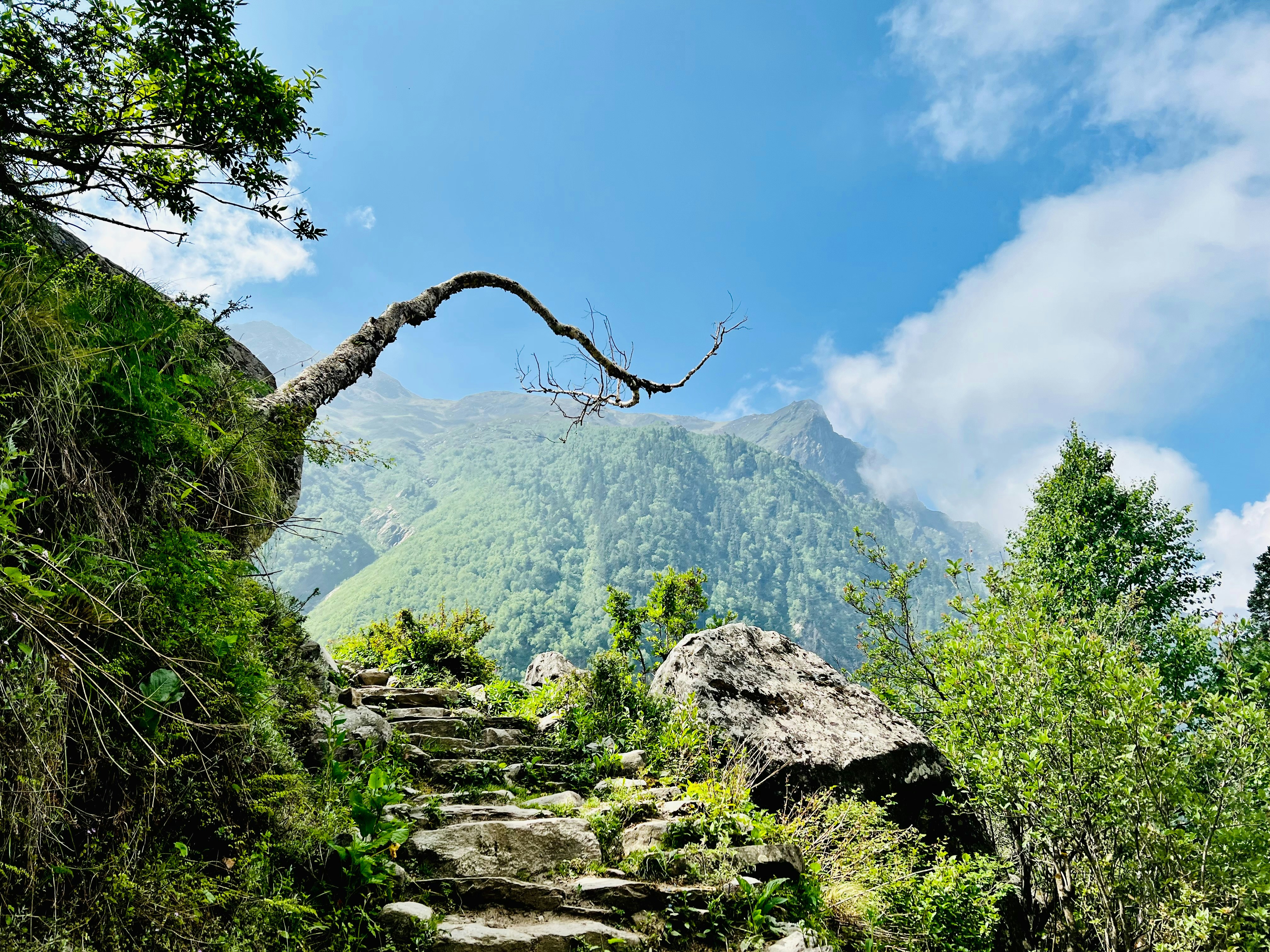 A rocky path with a tree branch sticking out of it photo – Free Blue ...