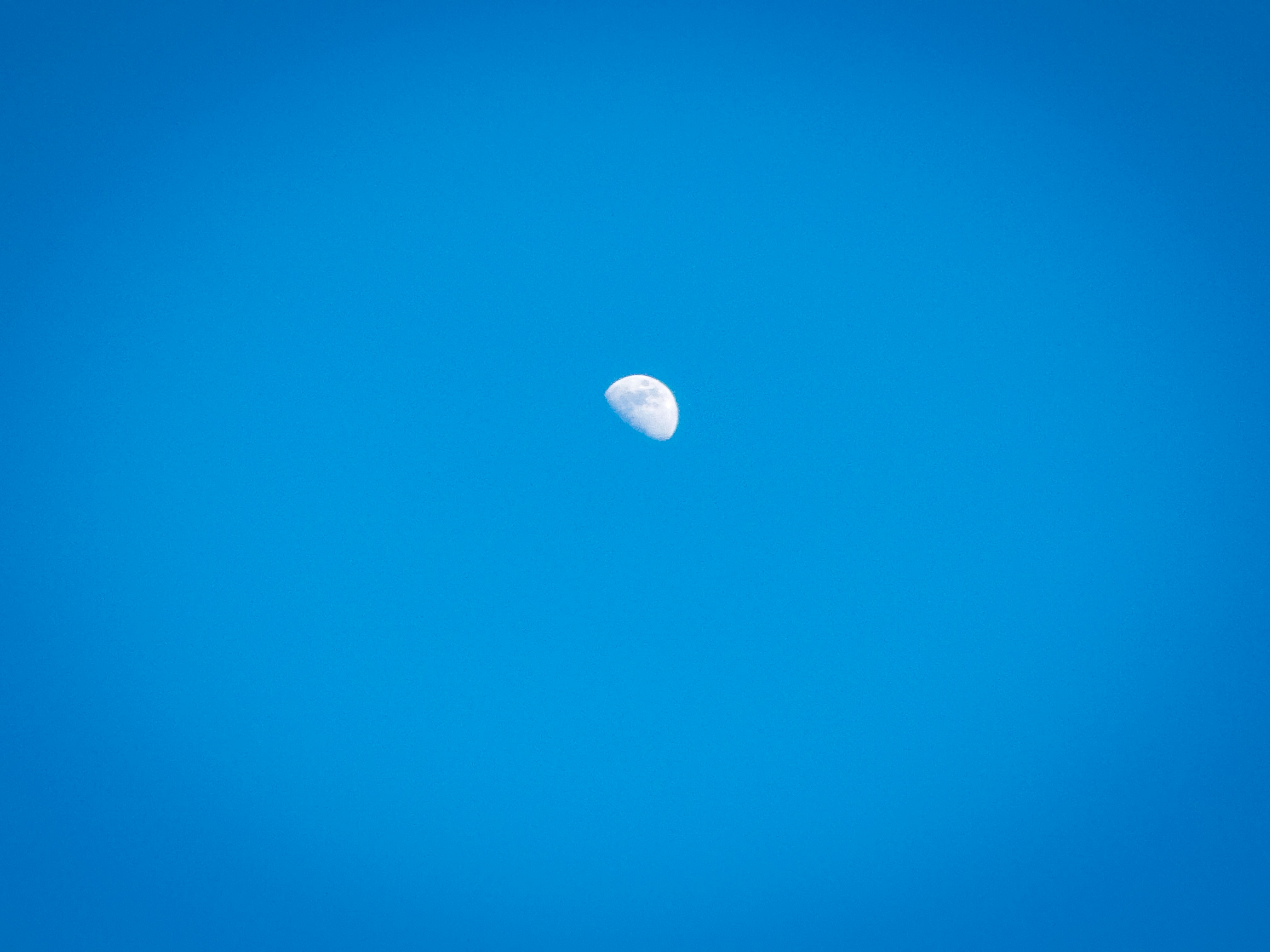 Photo by Myron Mott with Apple iPhone 15 Pro Max