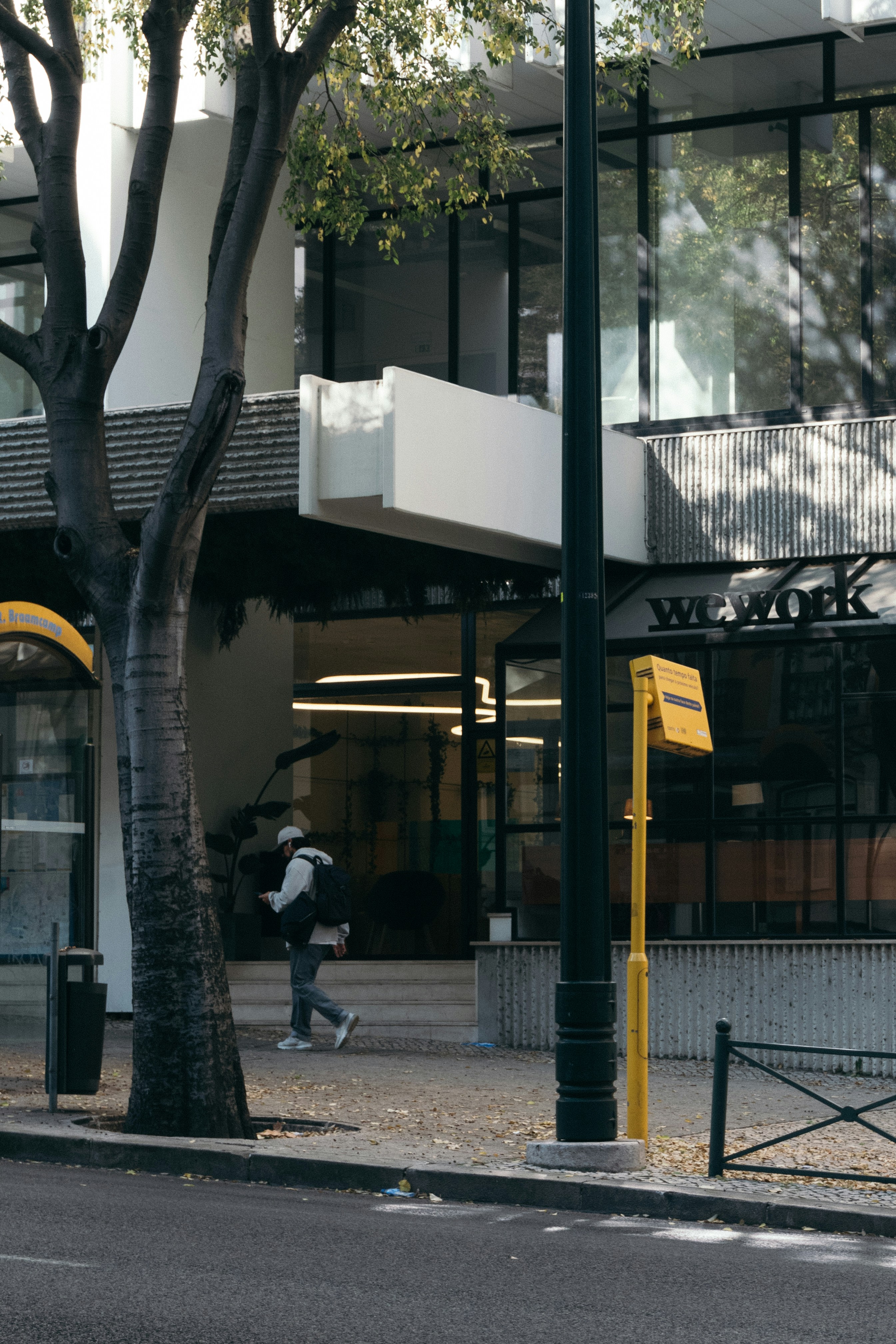Quiet City Walk: Pedestrian Passes a WeWork Facade Beneath Tree Shade