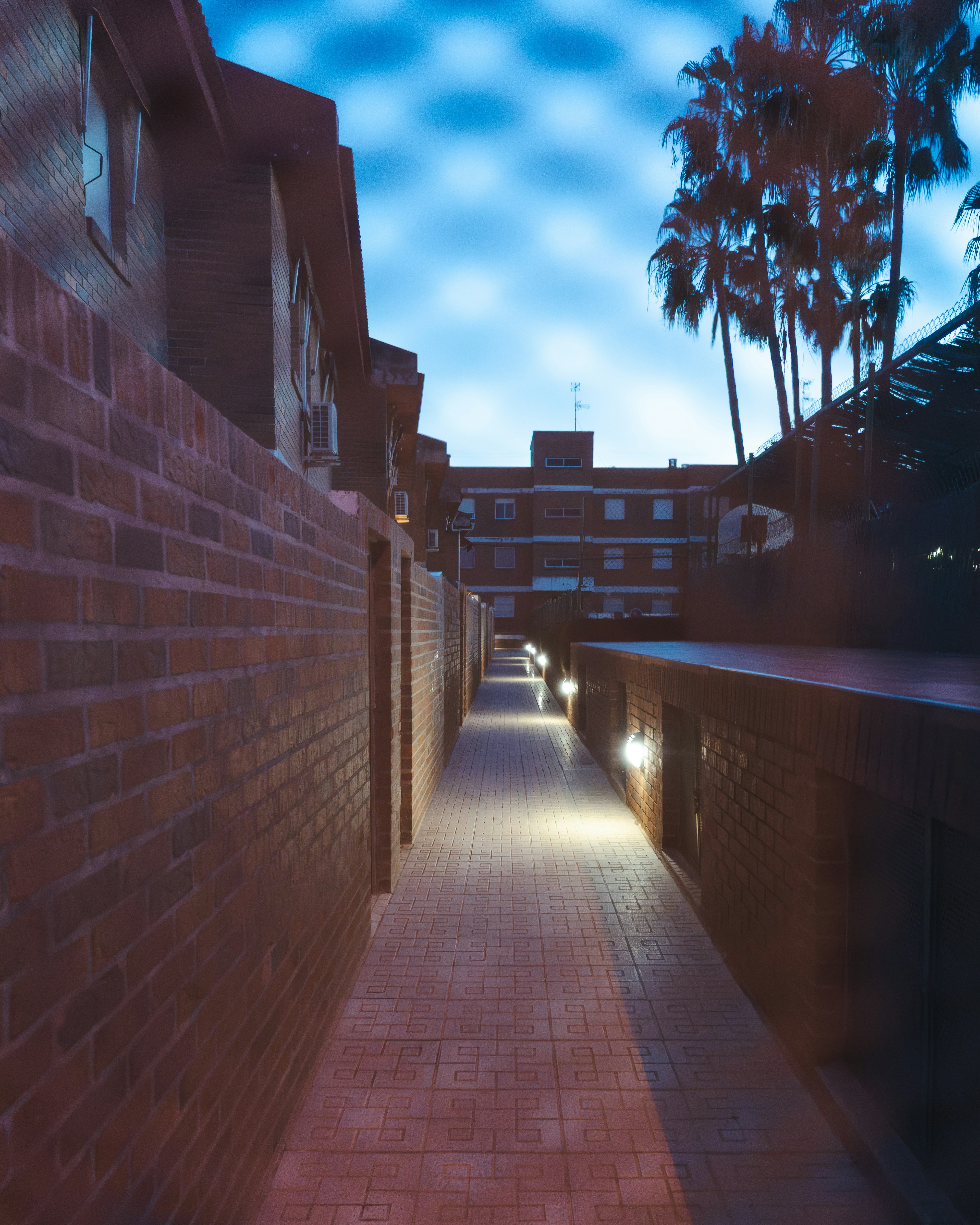 Blue Hour Alleyway: Palm Shadows Guiding Light Along Brick Walls