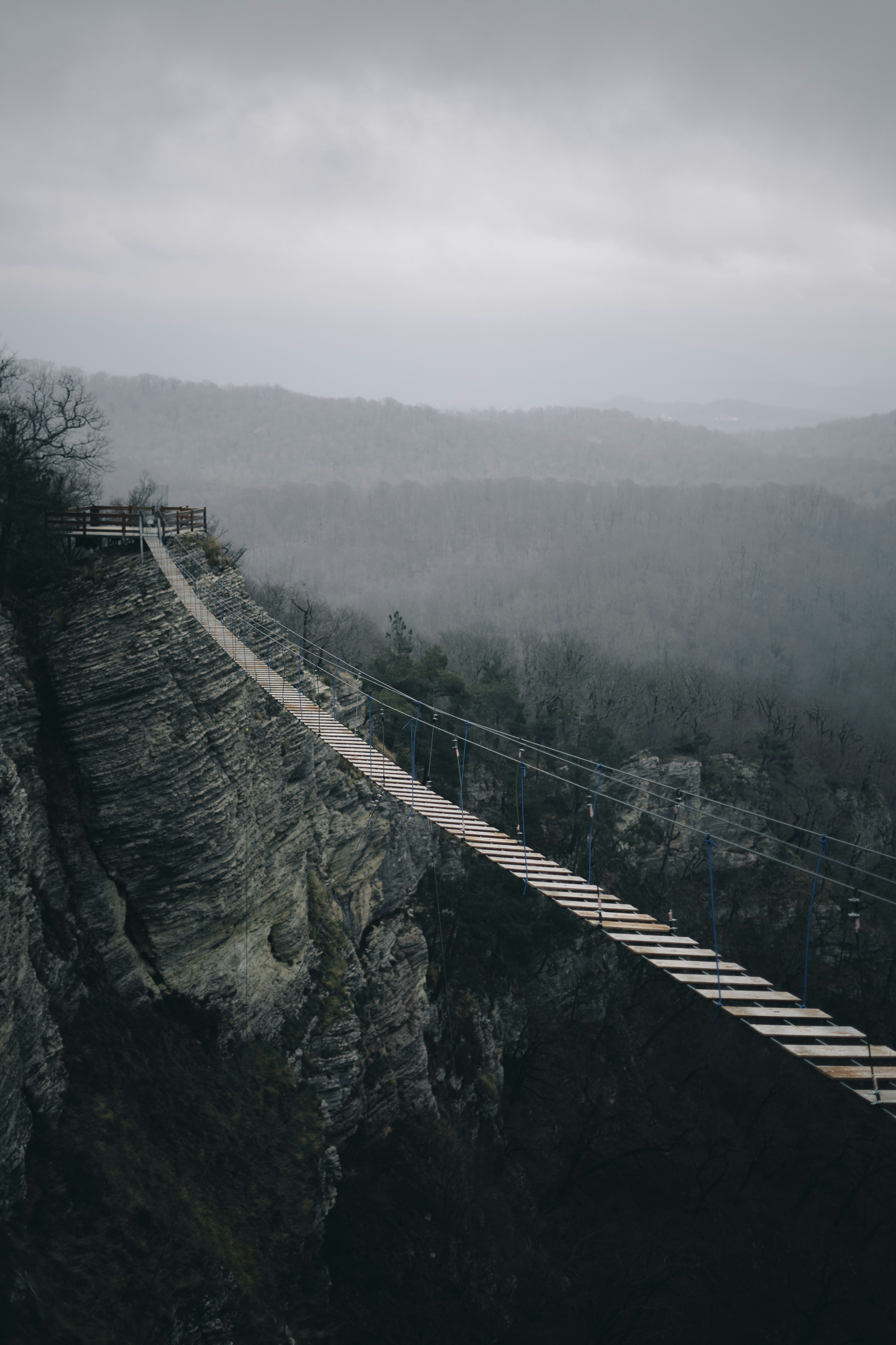 Weathered wooden suspension footbridge spans a sheer cliff, disappearing into a misty forest gorge.