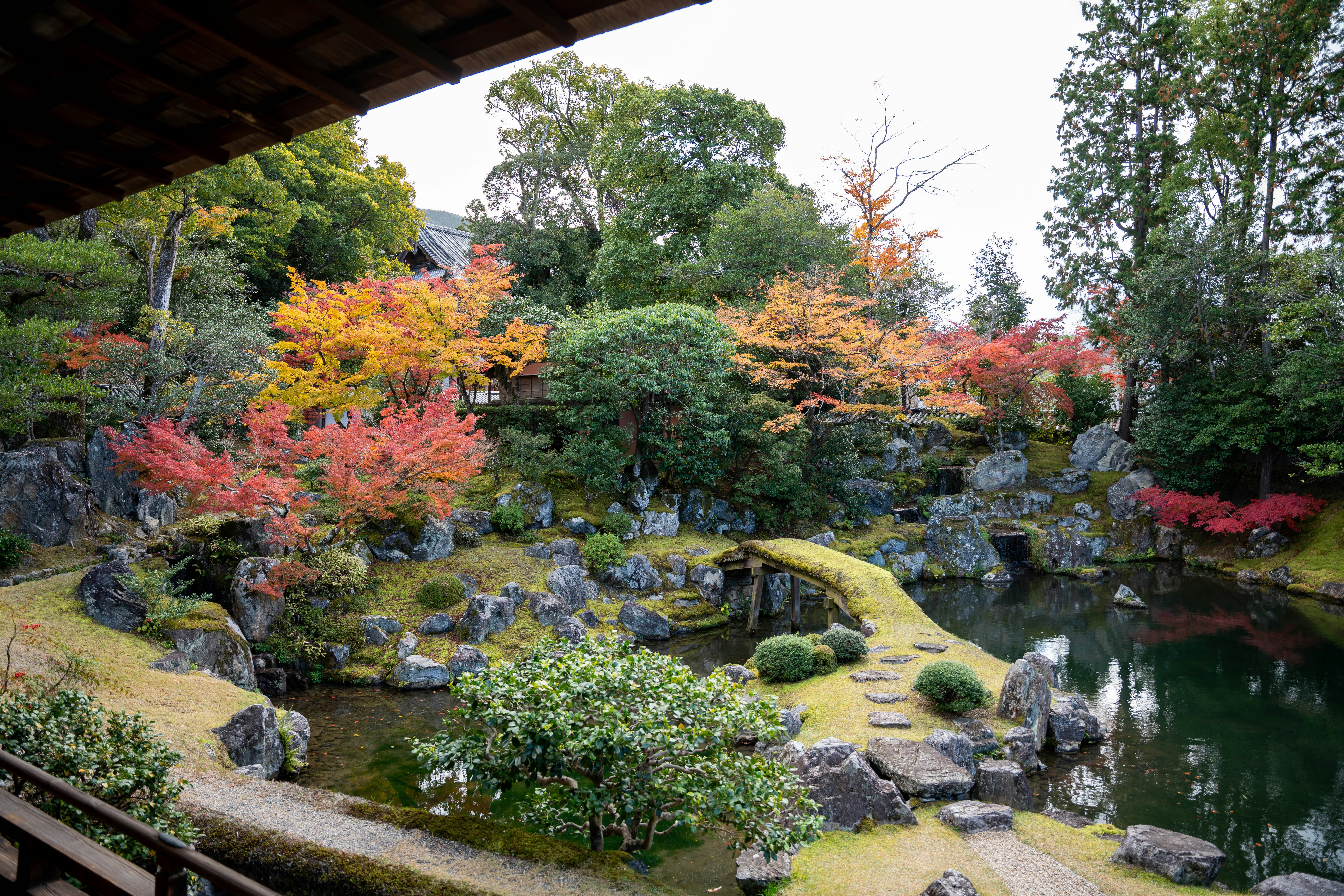 A small pond surrounded by rocks and trees photo – Free Plant Image on ...