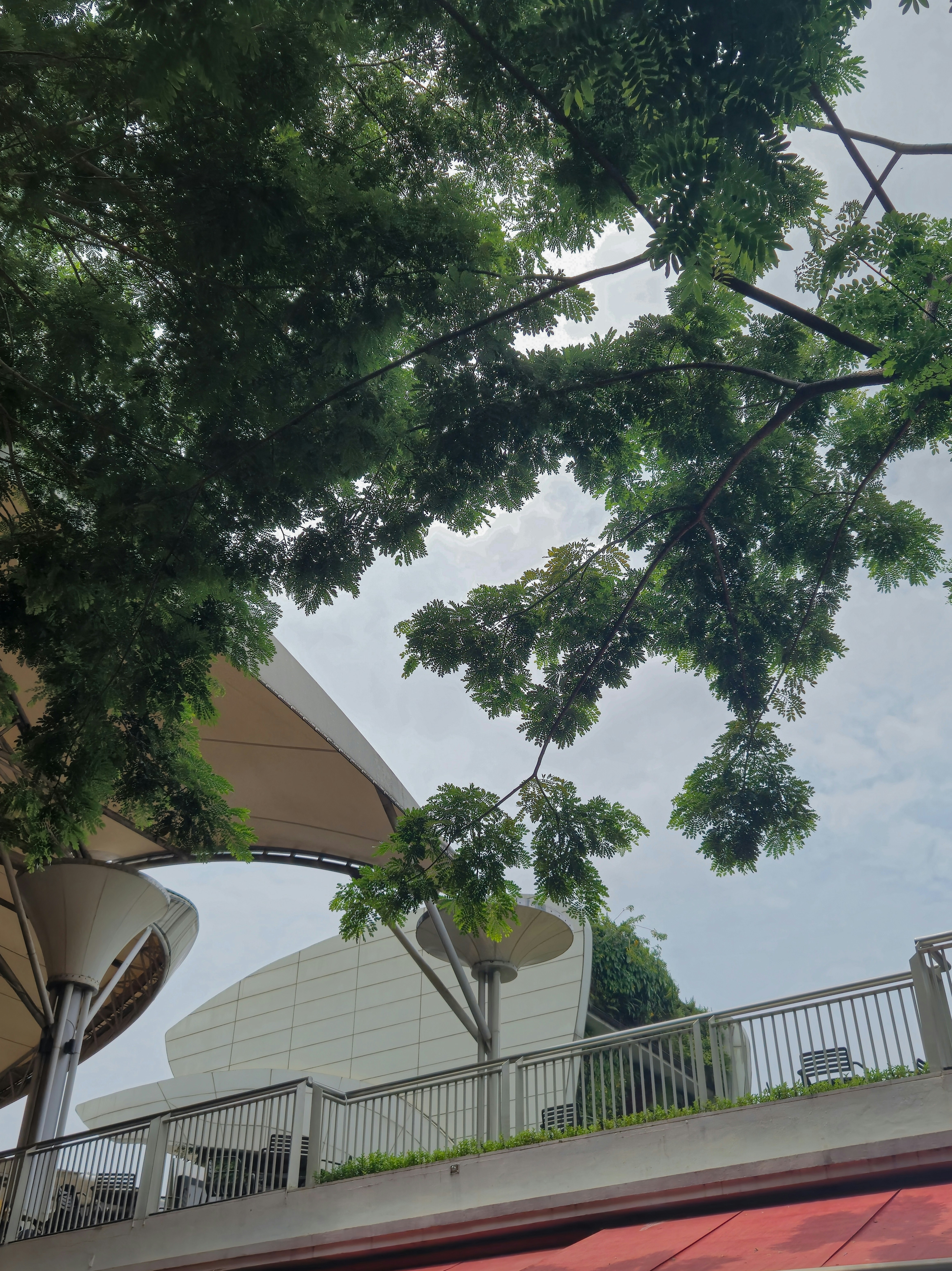 Lush green foliage frames a contemporary architectural structure under a cloudy sky, showcasing the harmony between nature and urban design.