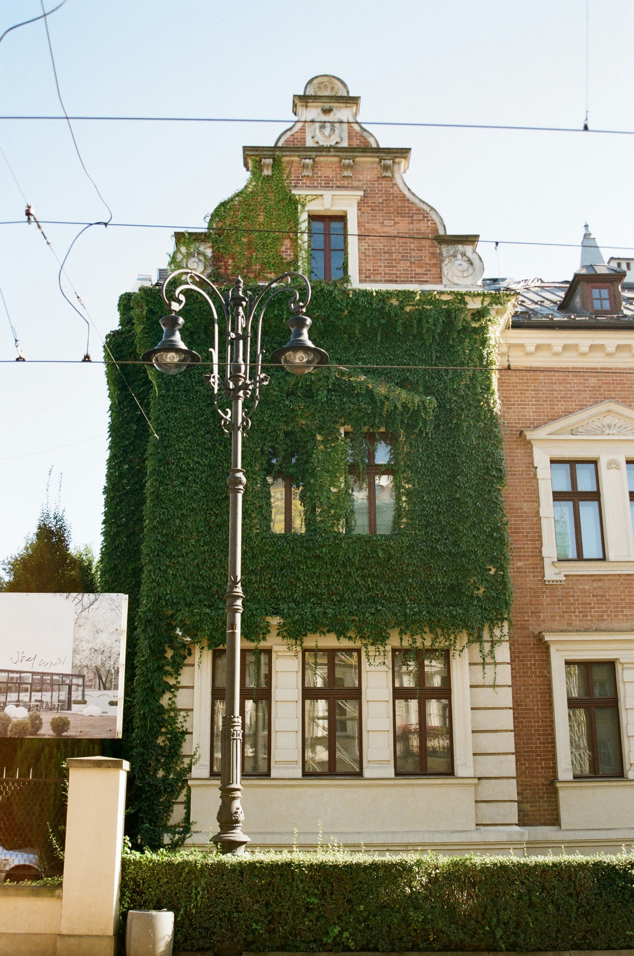 Brick building cloaked in ivy dominates the frame, anchored by a decorative vintage streetlamp in the foreground. The scene highlights architectural detail and a quiet urban atmosphere.