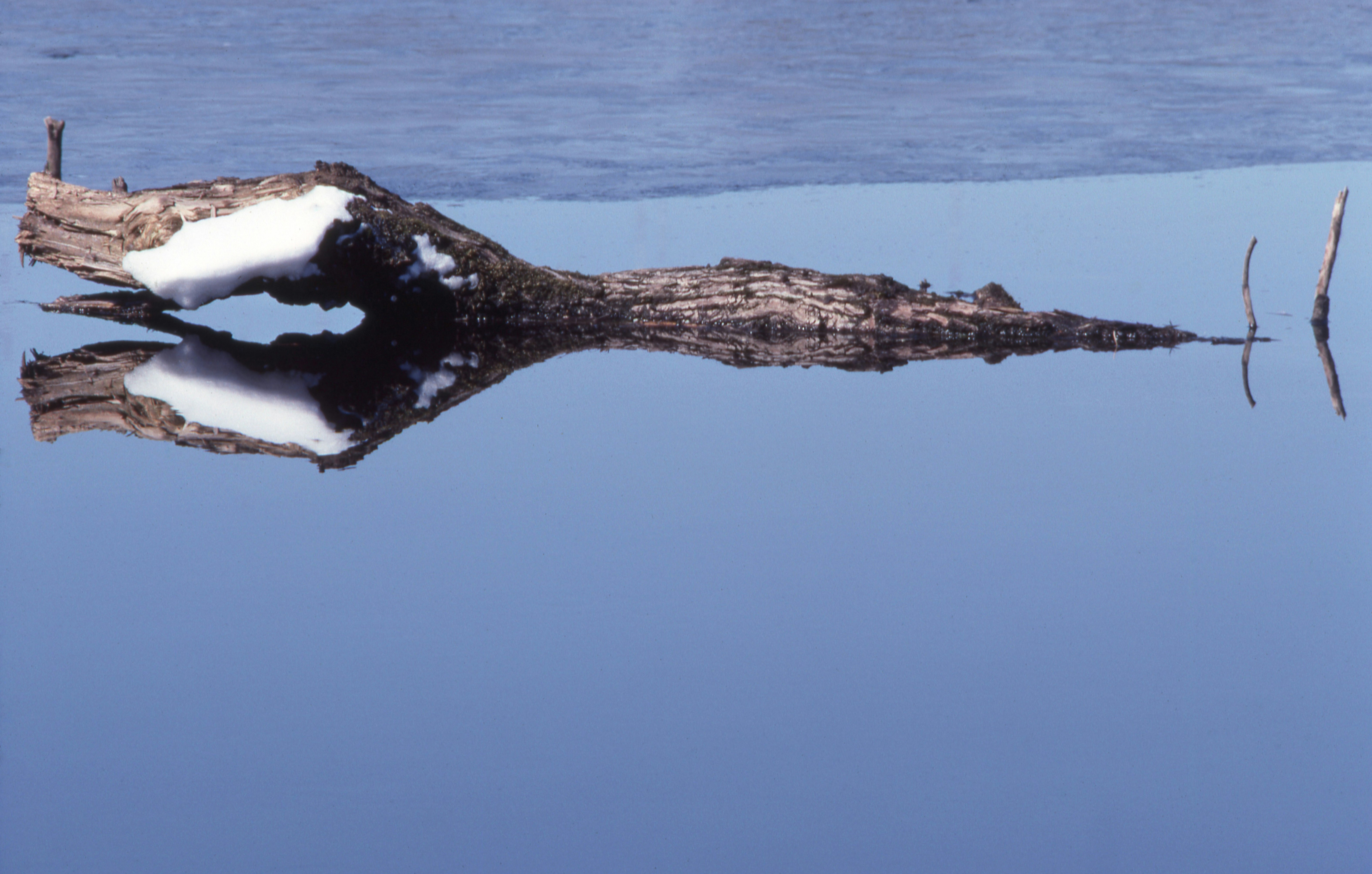 Login Image Pictures | Download Free Images on Unsplash