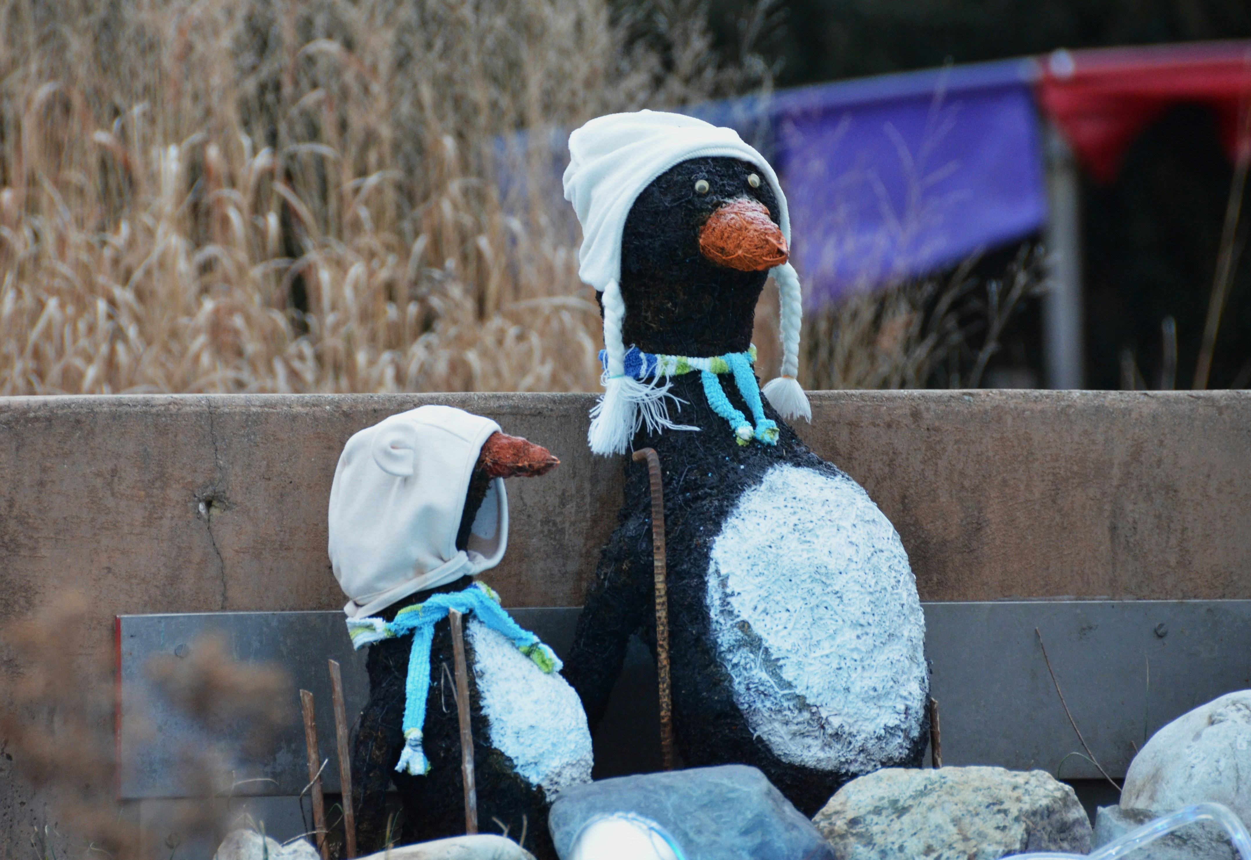 Snowbound Penguins: Whimsical Figures Guarding the Dunes