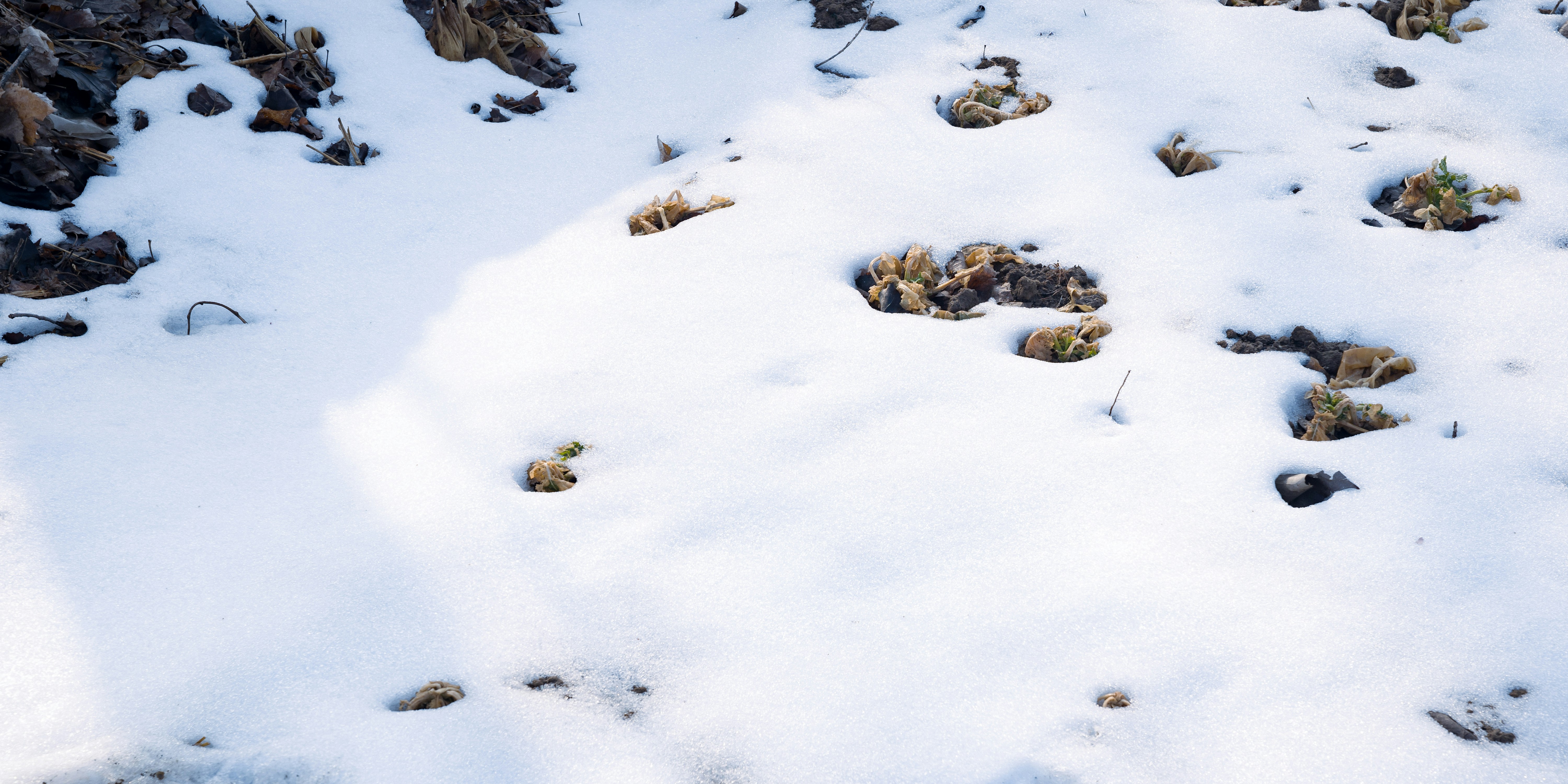 Photo by LISK OBE with Panasonic Lumix S5