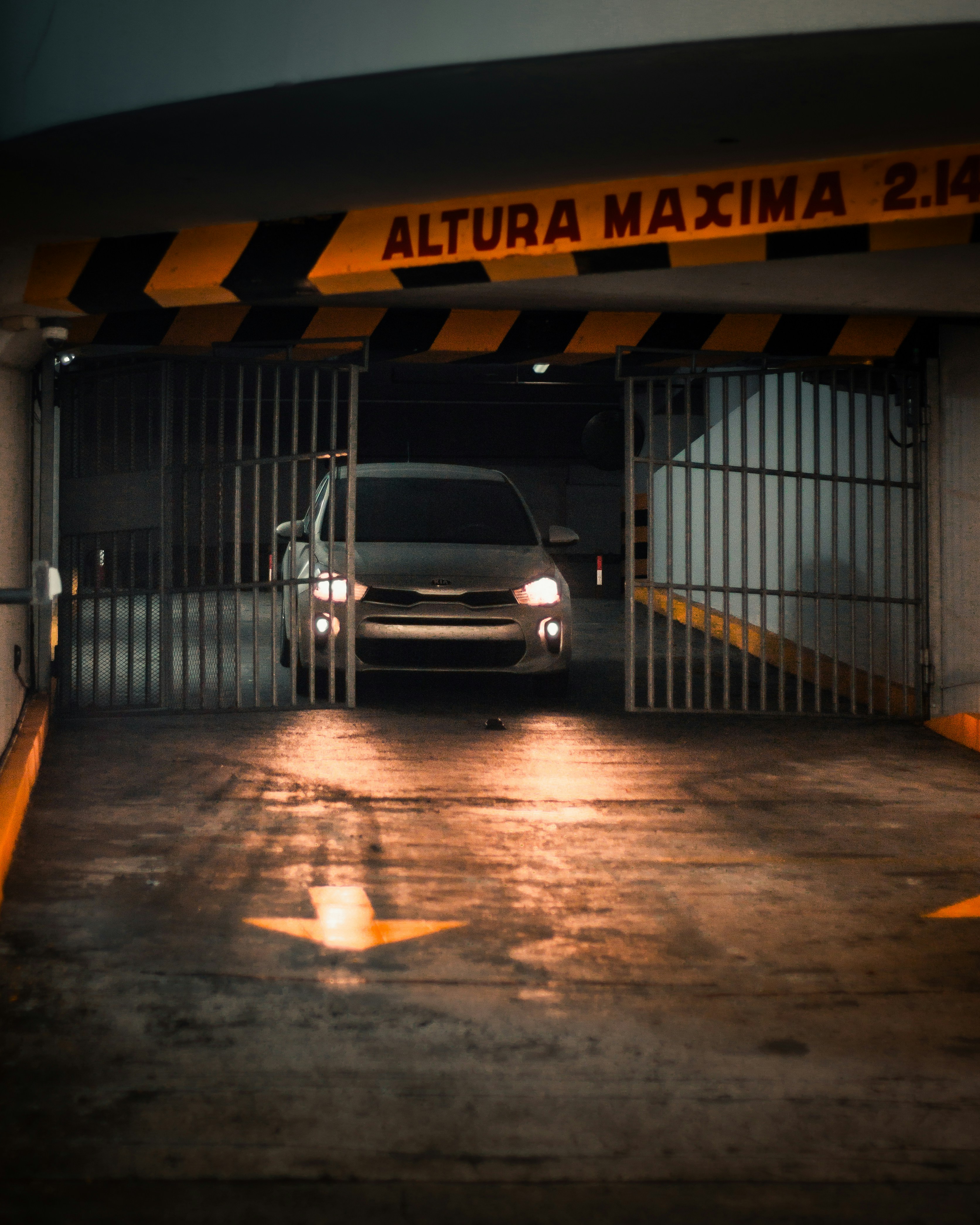 Photo by Ricardo Morales with Canon EOS M50