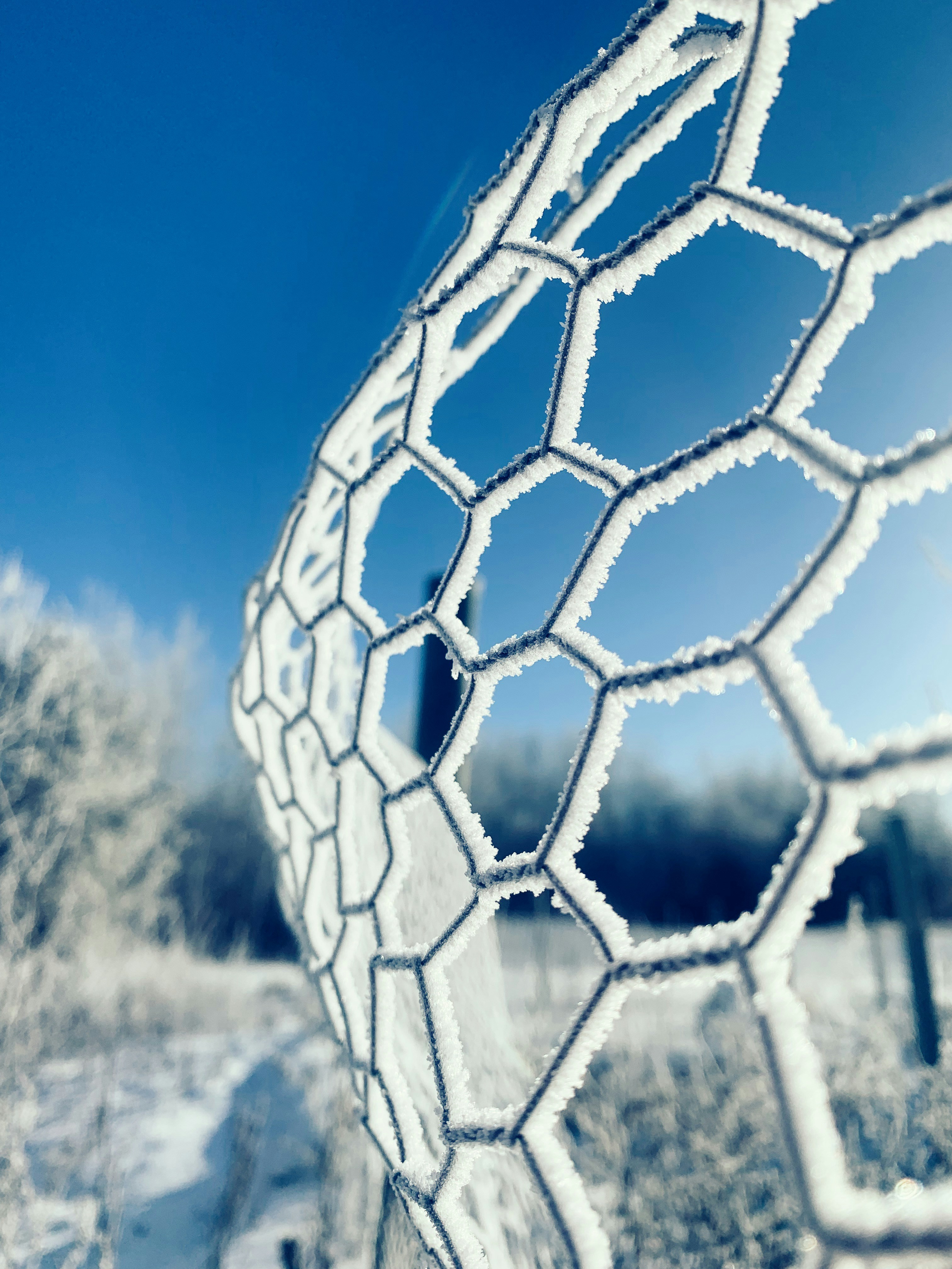 sparkling frost on a chicken-wire farm fence in a white winter