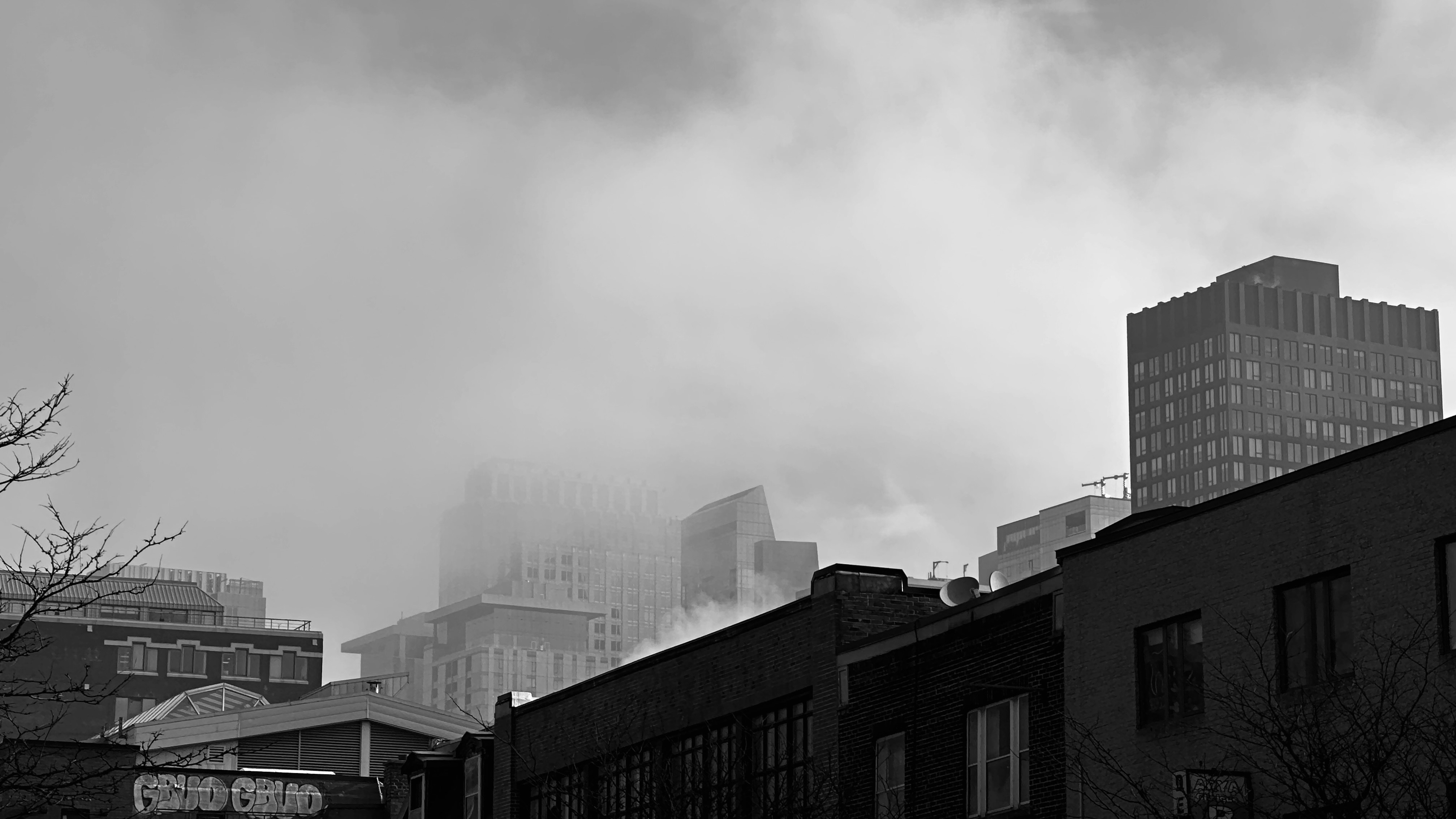 Urban Silhouettes in the Mist