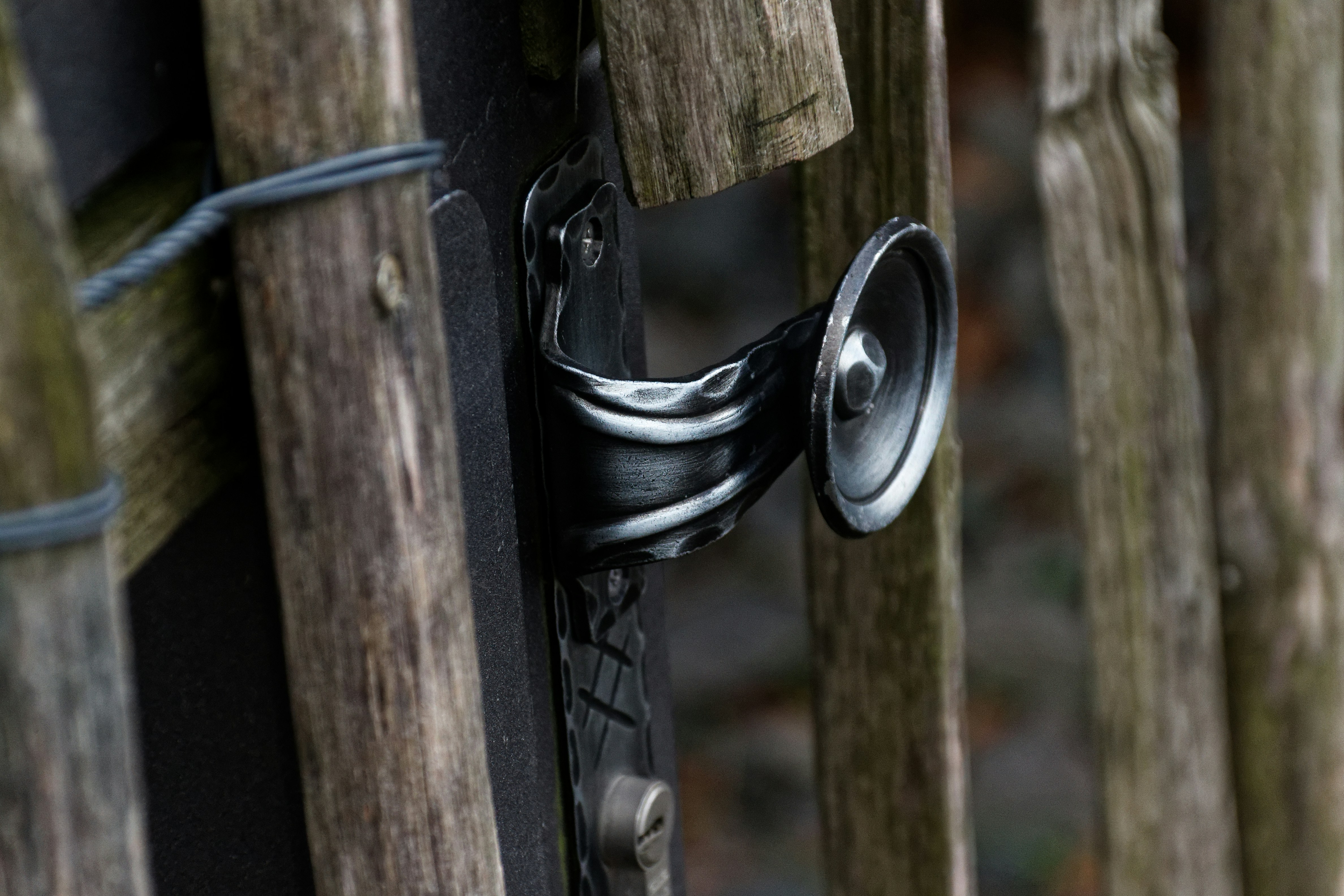 Photo by Ben Kupke with Canon EOS 500D