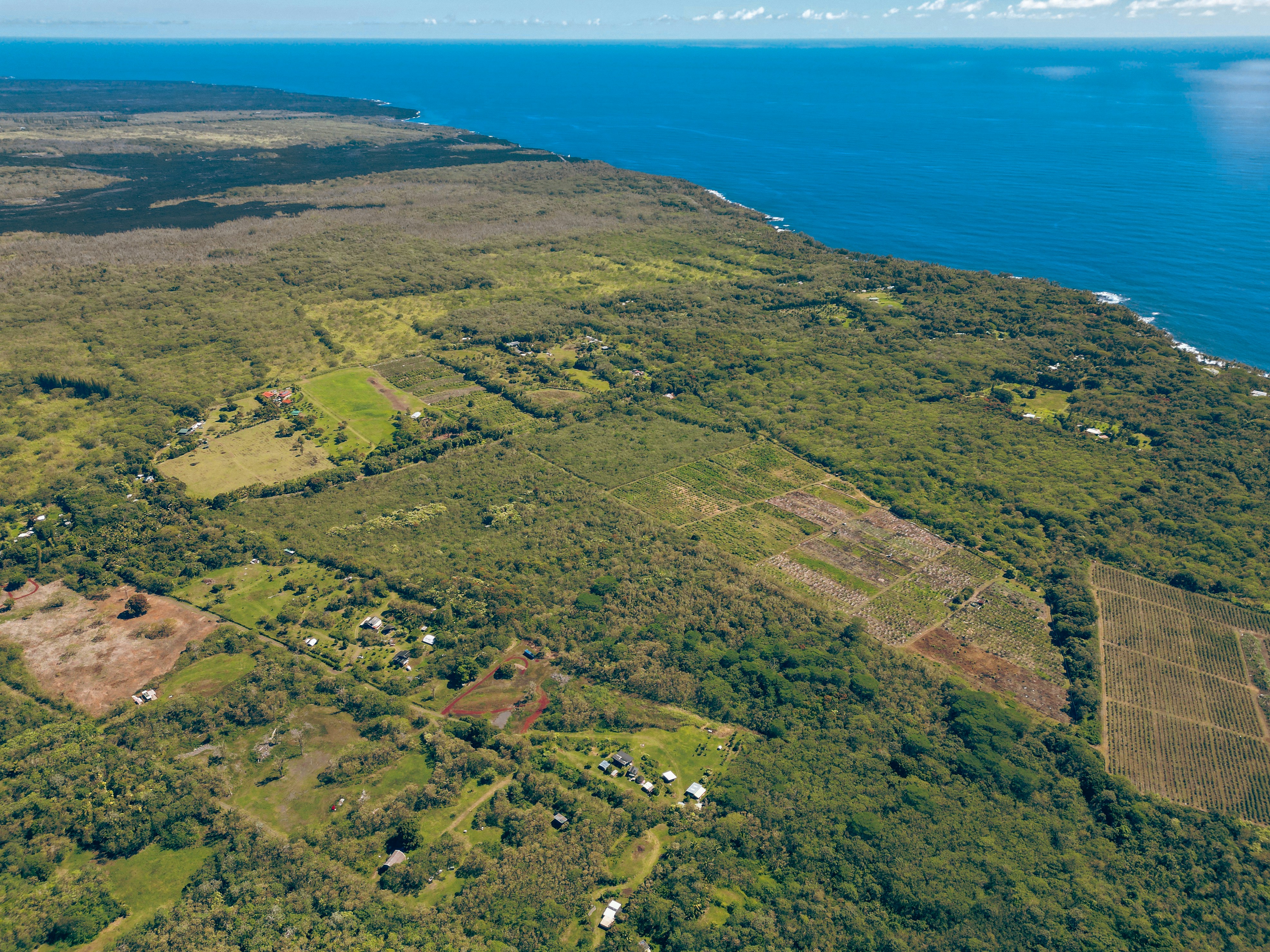 Coastal Plain from Above: Patchwork Fields Meet the Sea