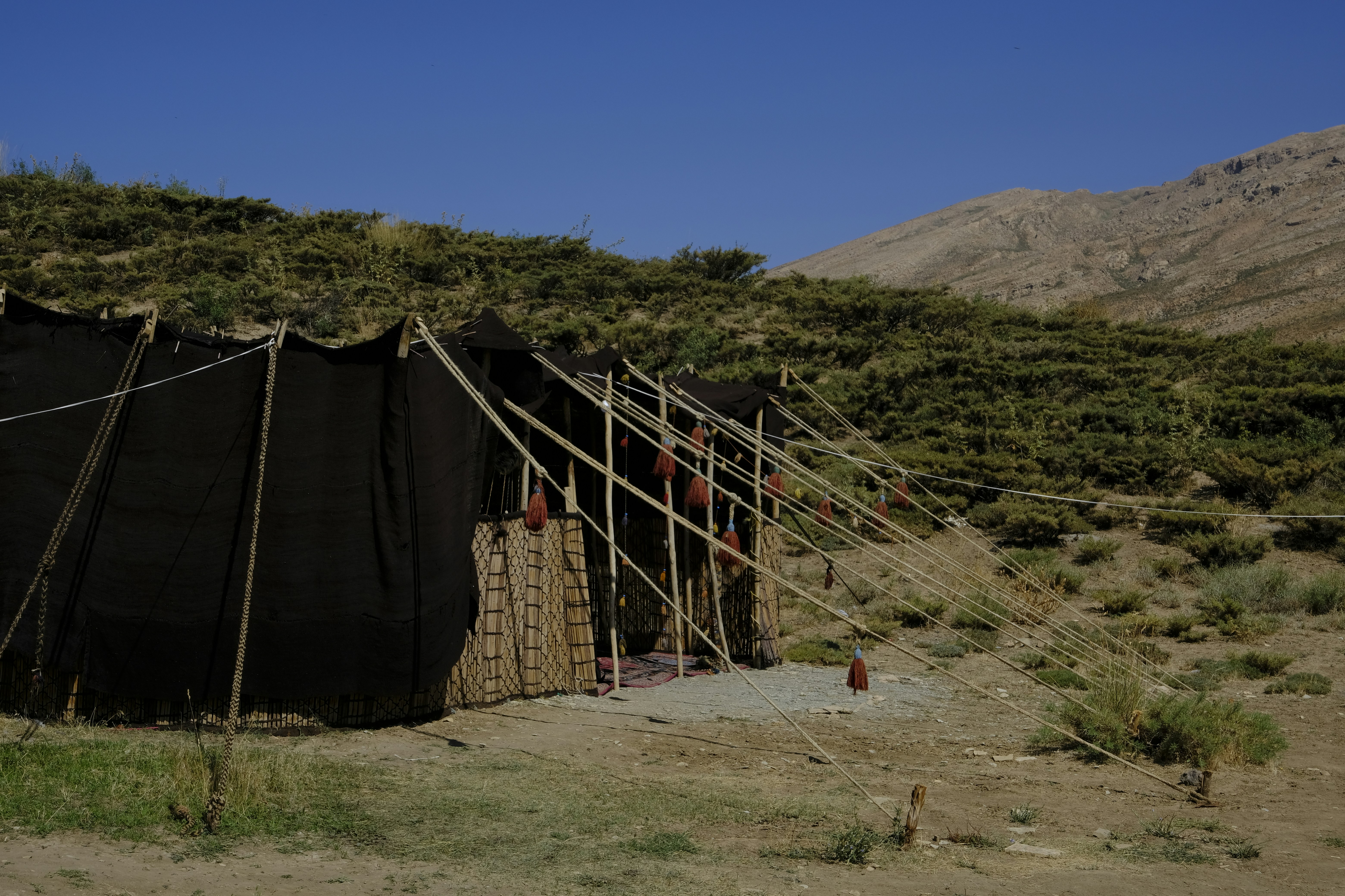 Rope-Bound Canvas Camp Standing Against Arid Hills Under a Clear Desert Sky