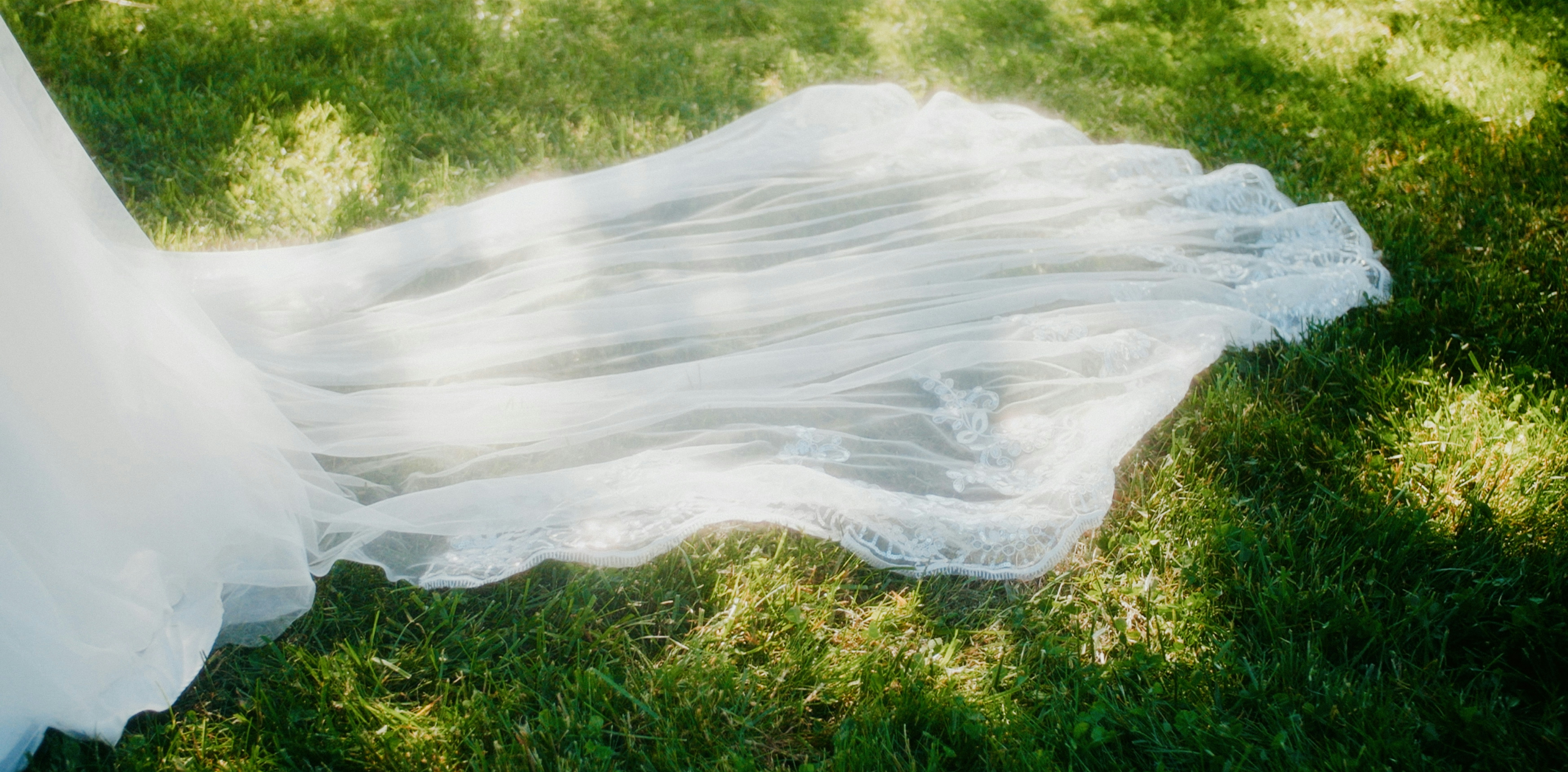 A wedding dress is laying on the grass photo – Free Woman Image on Unsplash