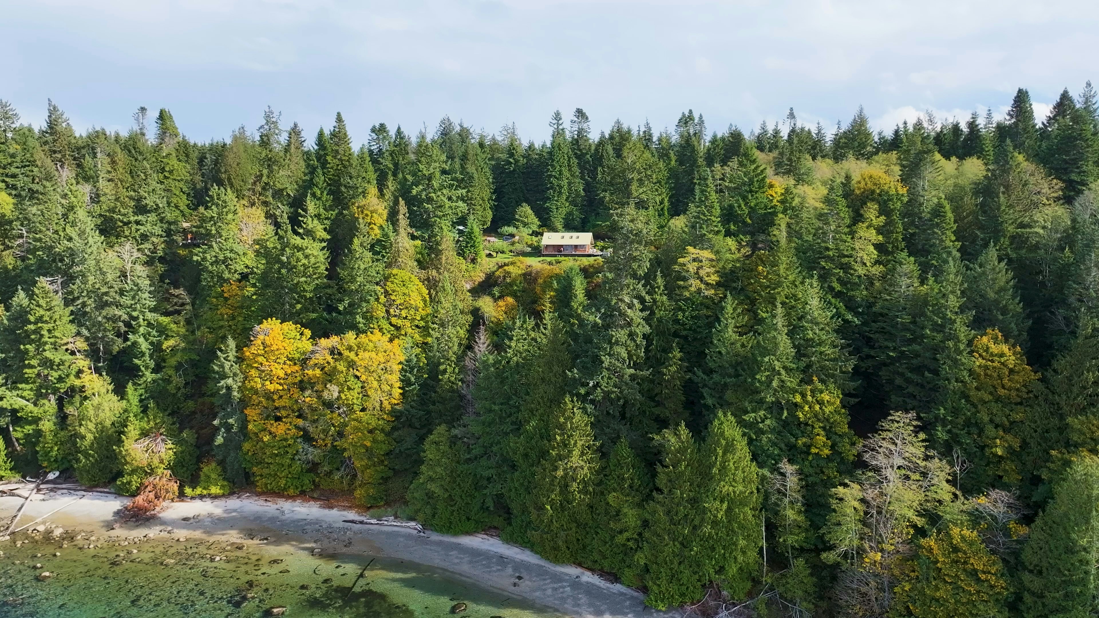 Une maison au milieu d’une forêt photo – Photo Canada Gratuite sur Unsplash