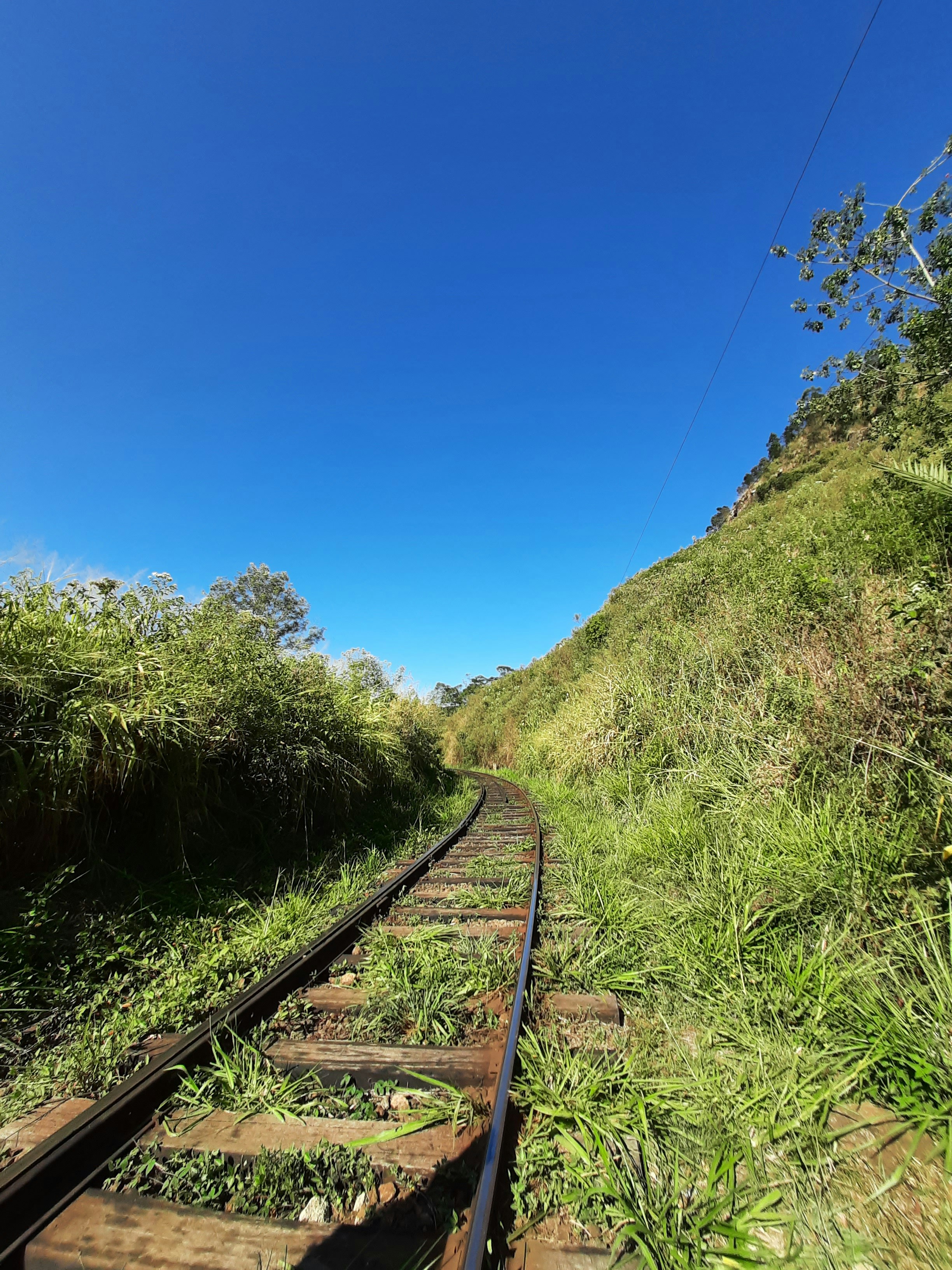 Overgrown Rails Toward a Quiet Horizon
