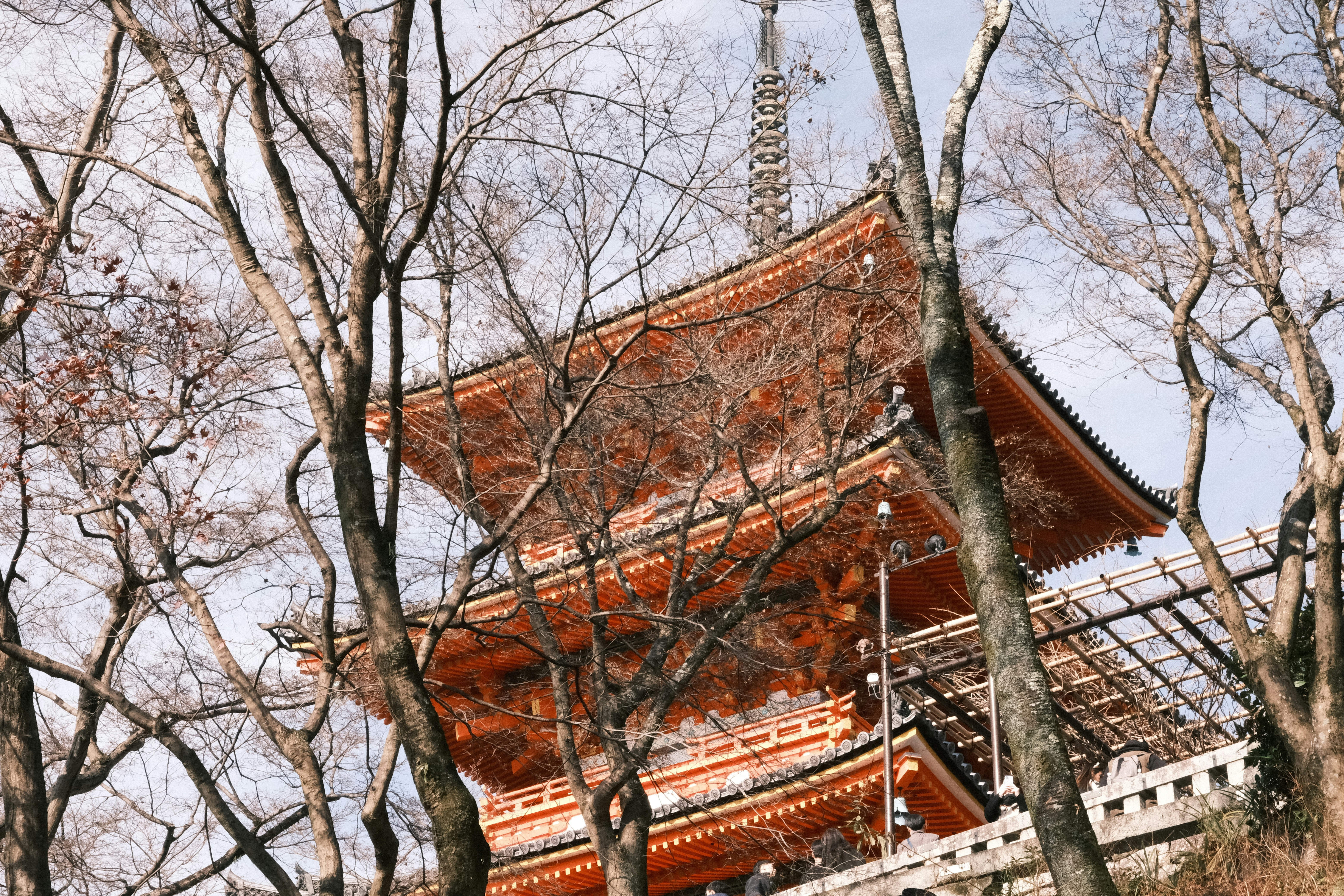 Crimson Pagoda Peeking Through a Winter Lattice of Branches