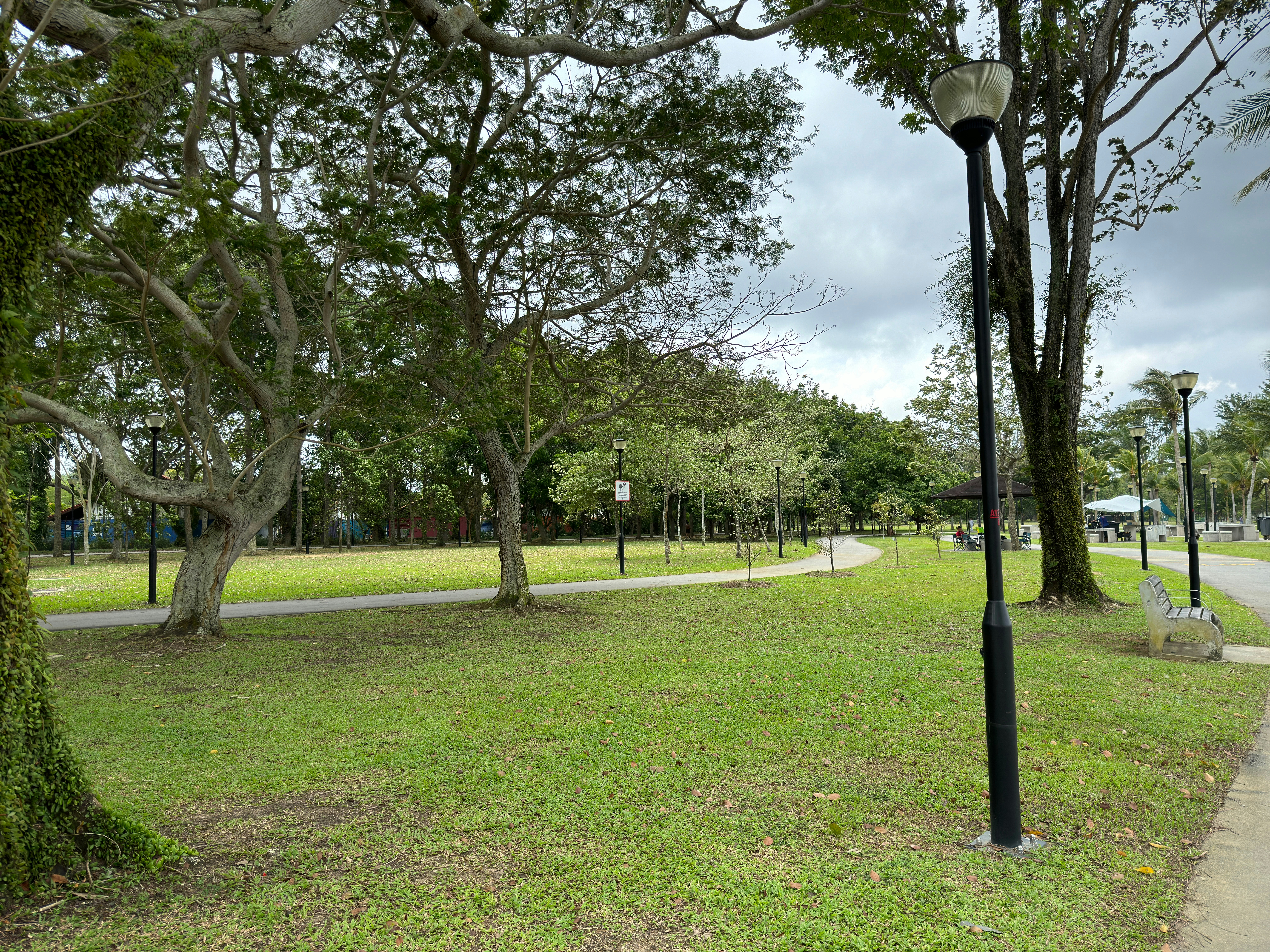 A street light sitting in the middle of a lush green park photo – Free ...
