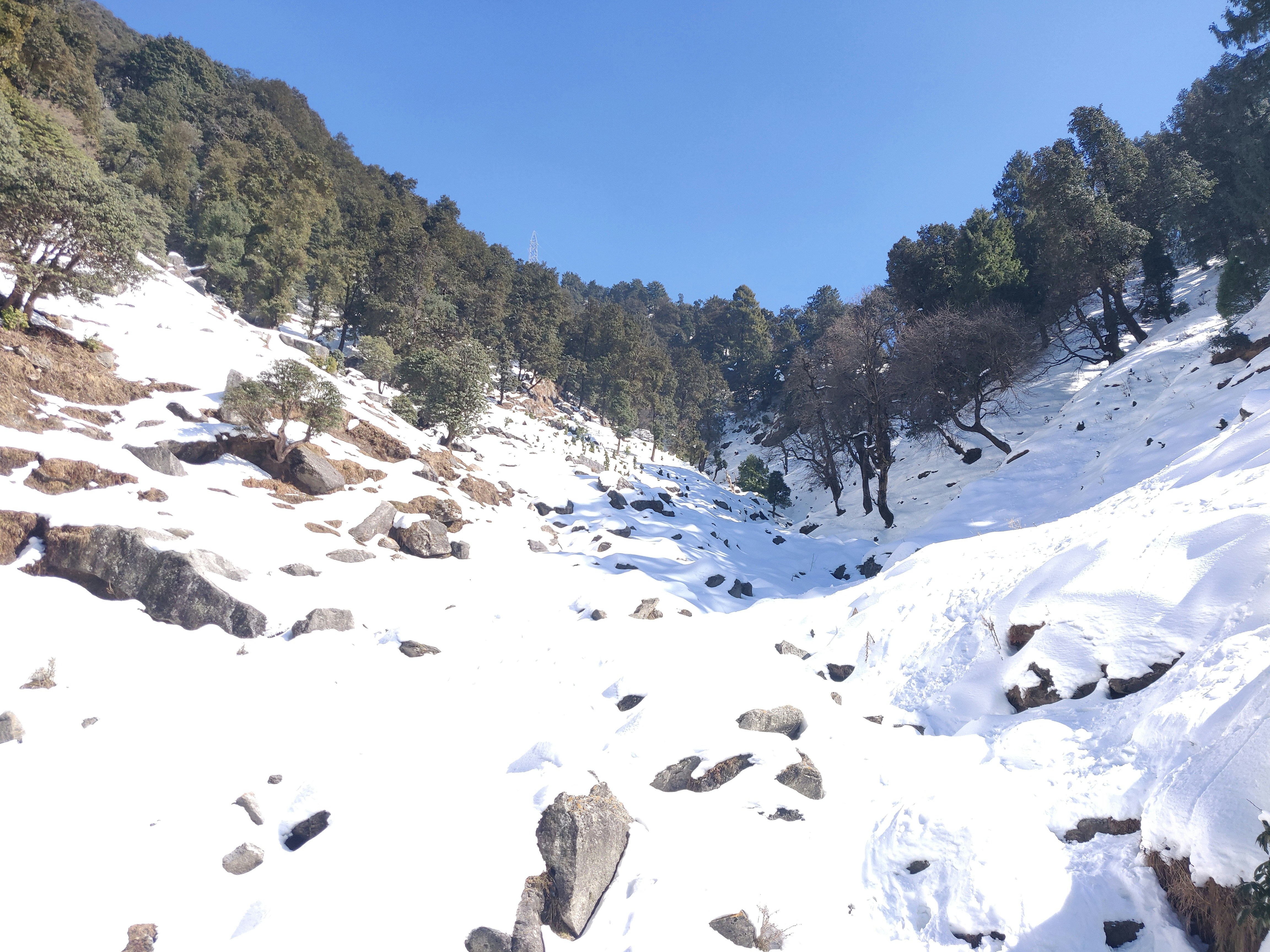 A snow covered hillside with trees and rocks photo – Free Winch camp ...