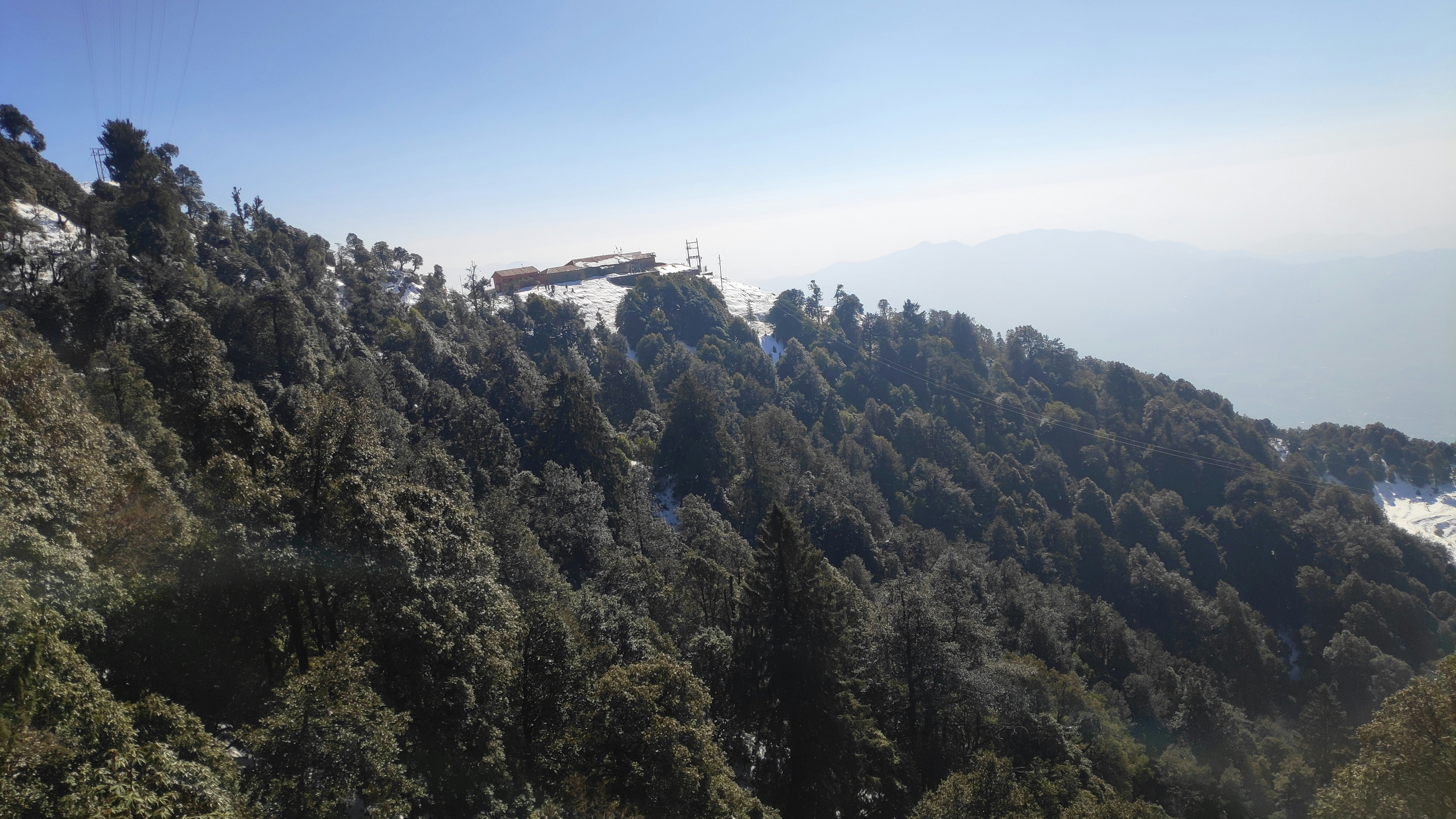Ridge Overlook: A Cliffside Platform Hovering Above a Pine Sea in Mist