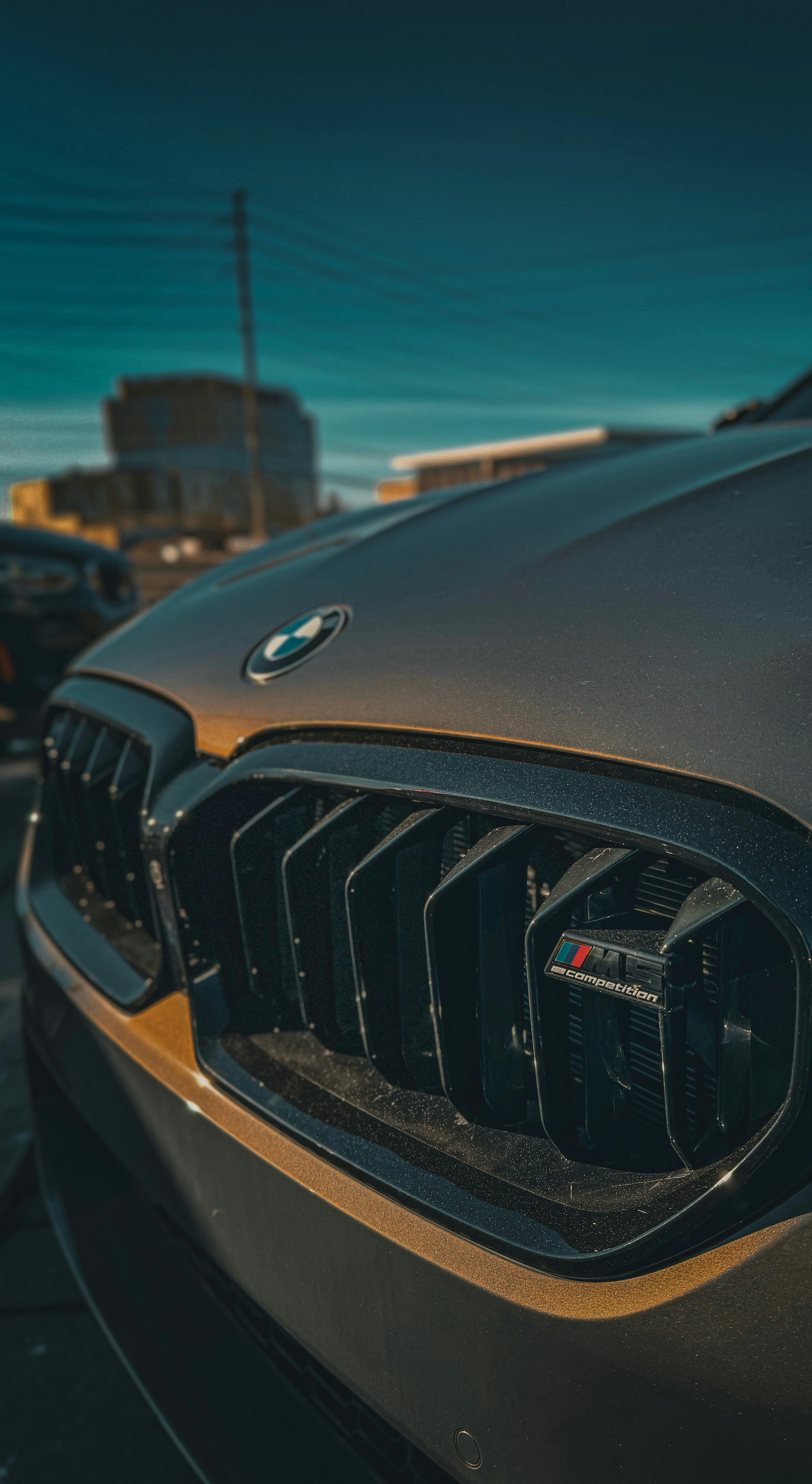 Edge of Shine: BMW M Competition Grille in Golden Hour Close-Up