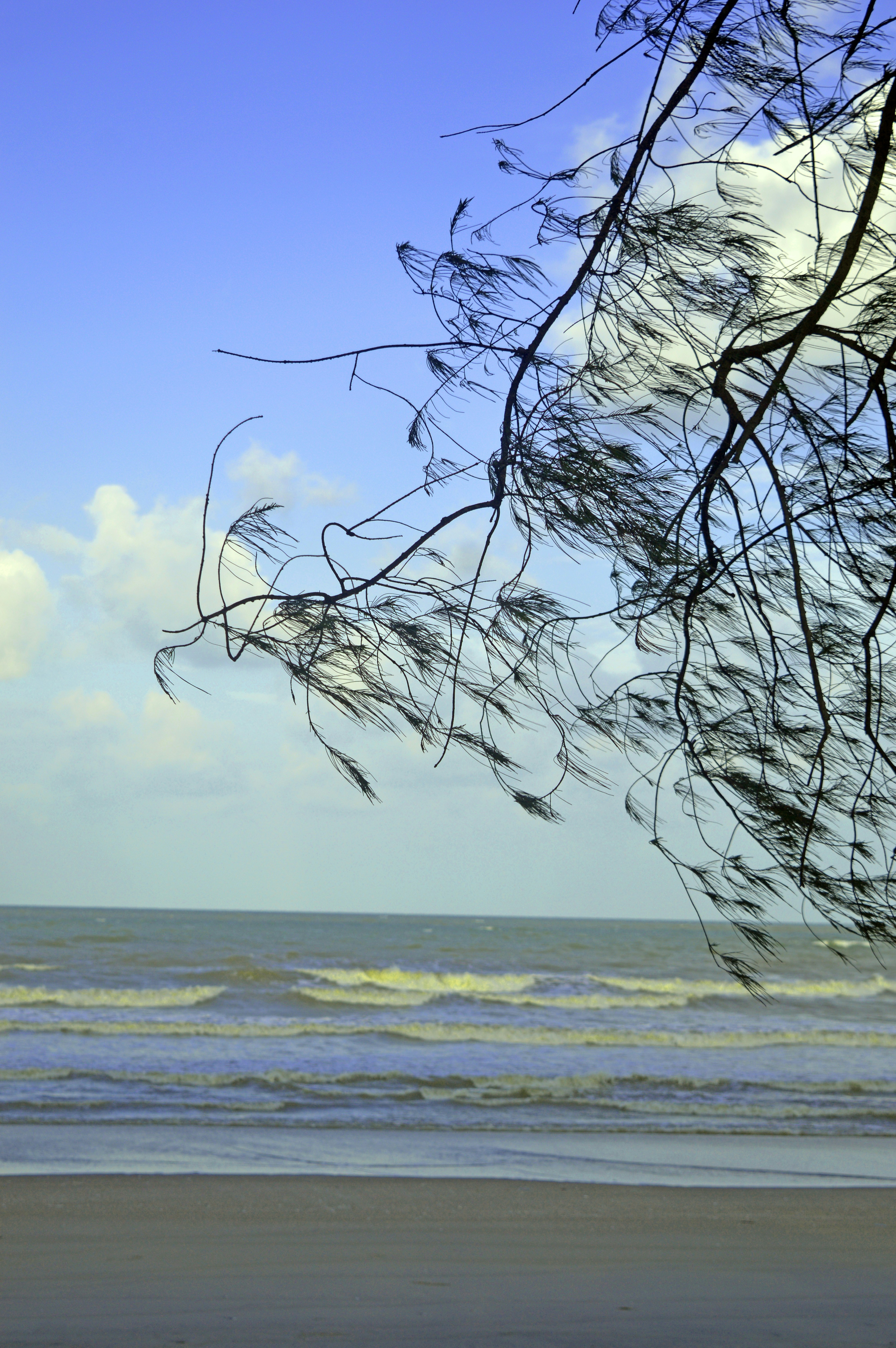 A view of the ocean from a beach photo – Free Pantai sepat Image on ...