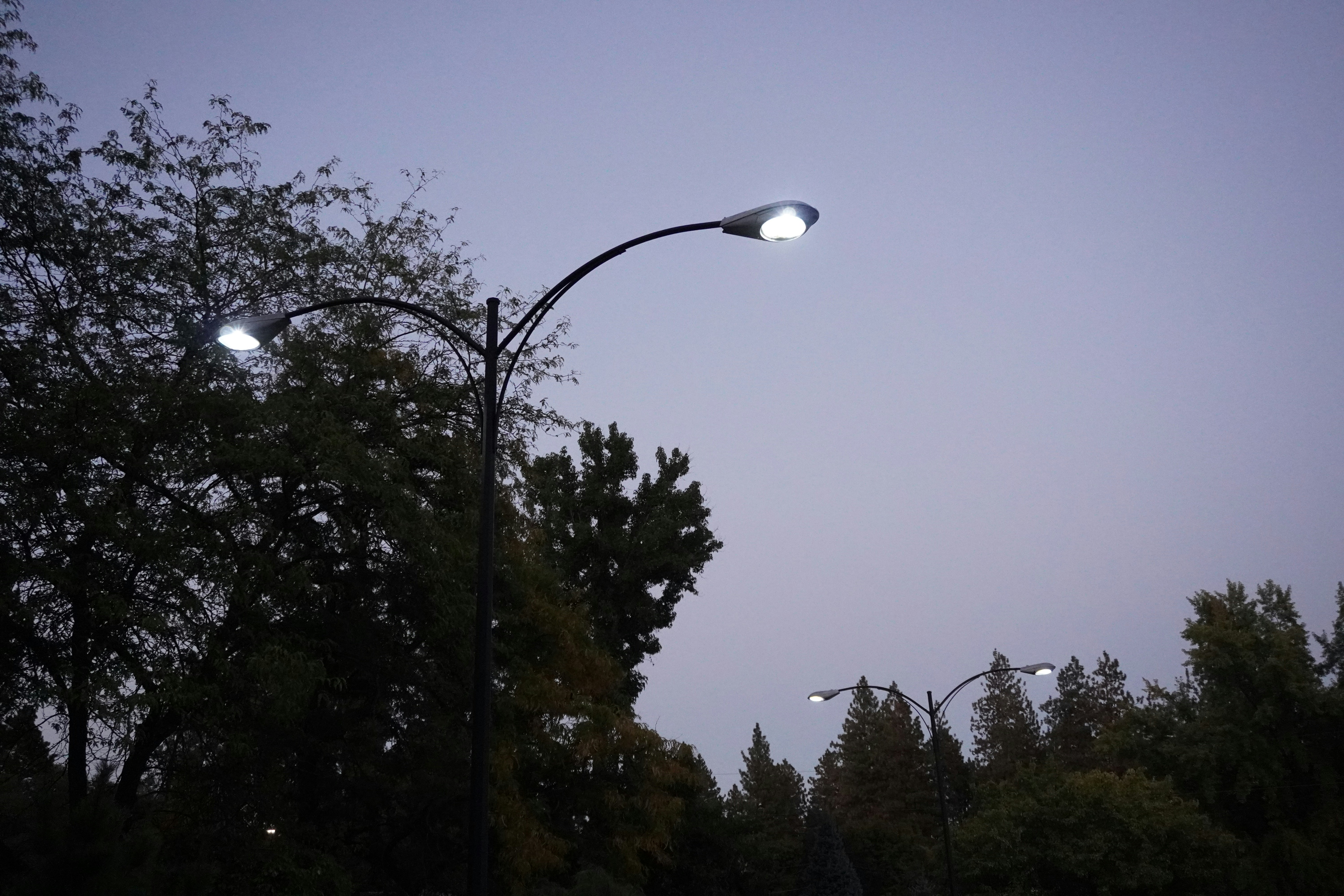 Dusk Arcades: Curved Streetlamps Guard the Quiet Street