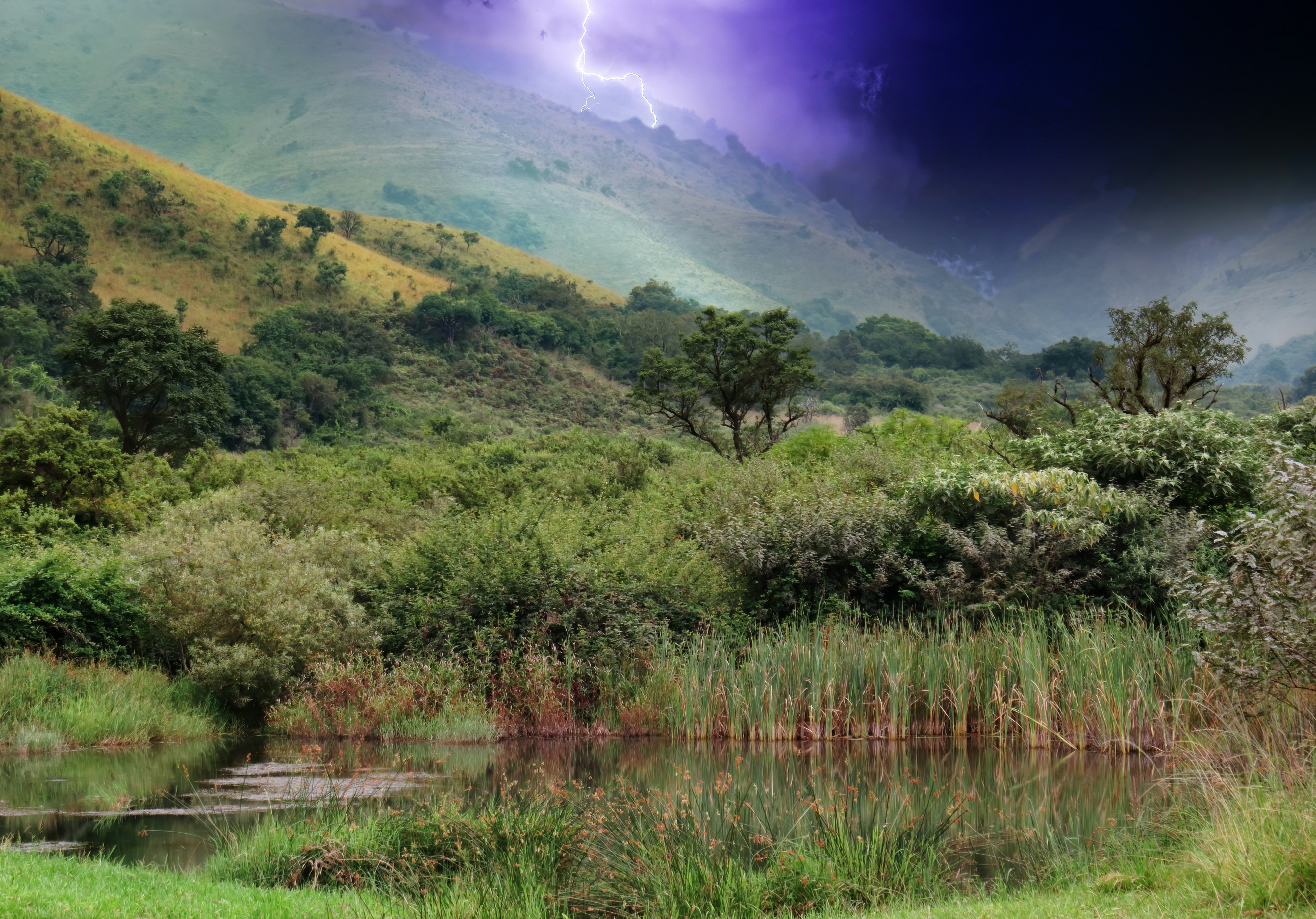 A river running through a lush green forest photo – Free Lightning Image on Unsplash