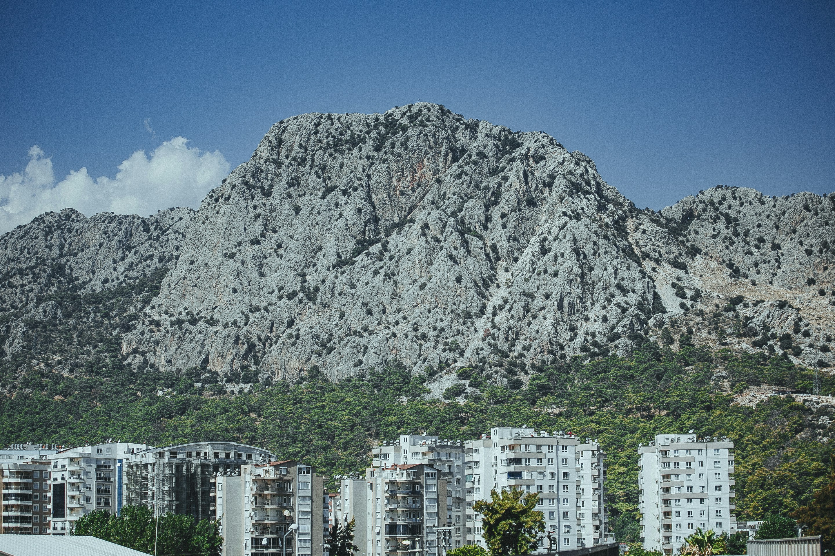 Photo by Albert Klein with Canon EOS 5D Mark III