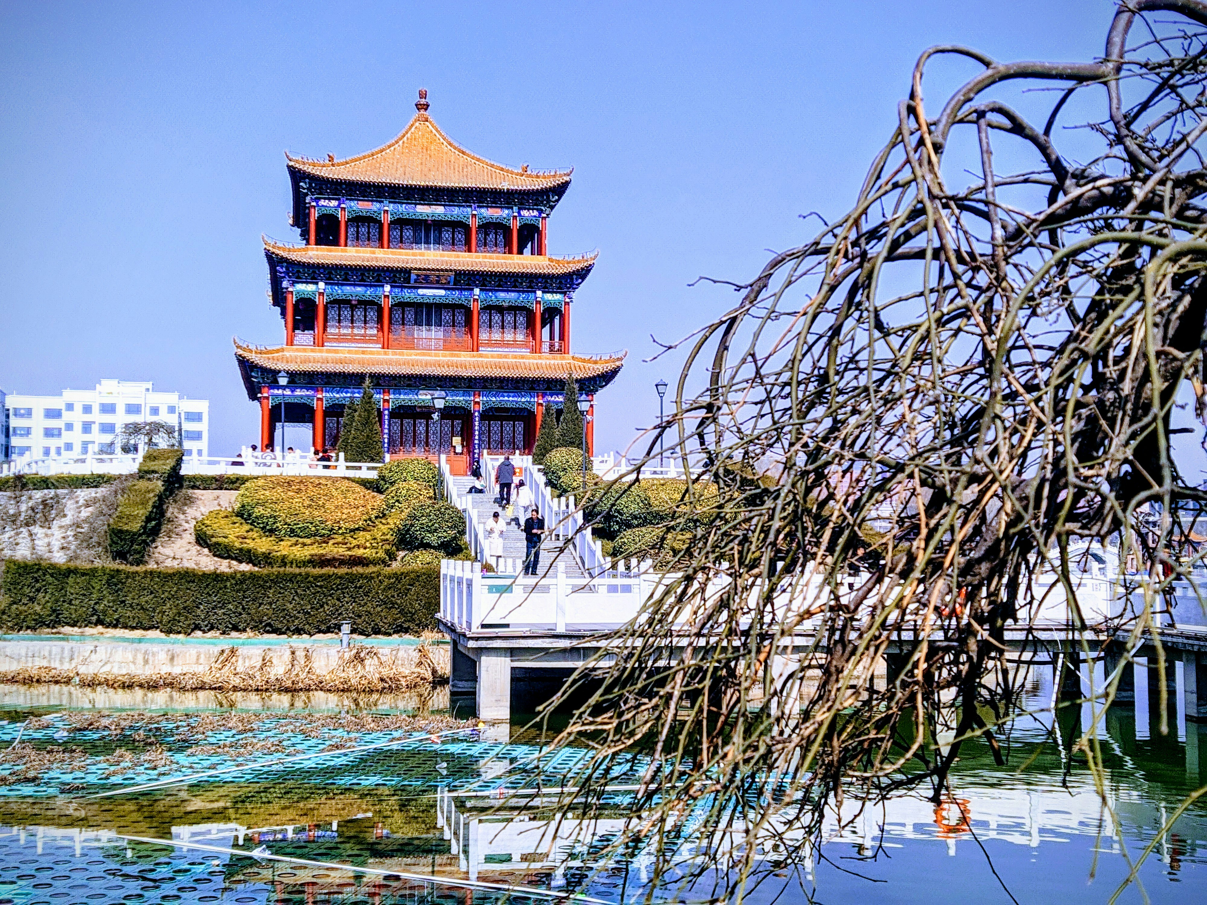 Pagoda by the Quiet Canal, Framed by a Web of Bare Branches