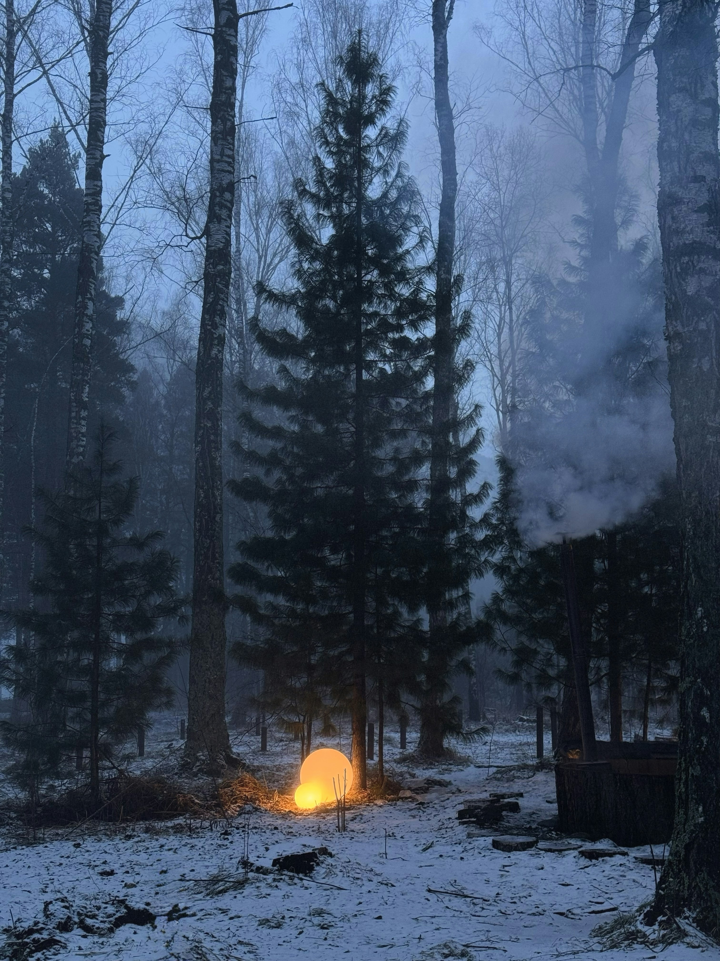 A fire in the middle of a snowy forest photo – Free Altay Image on Unsplash
