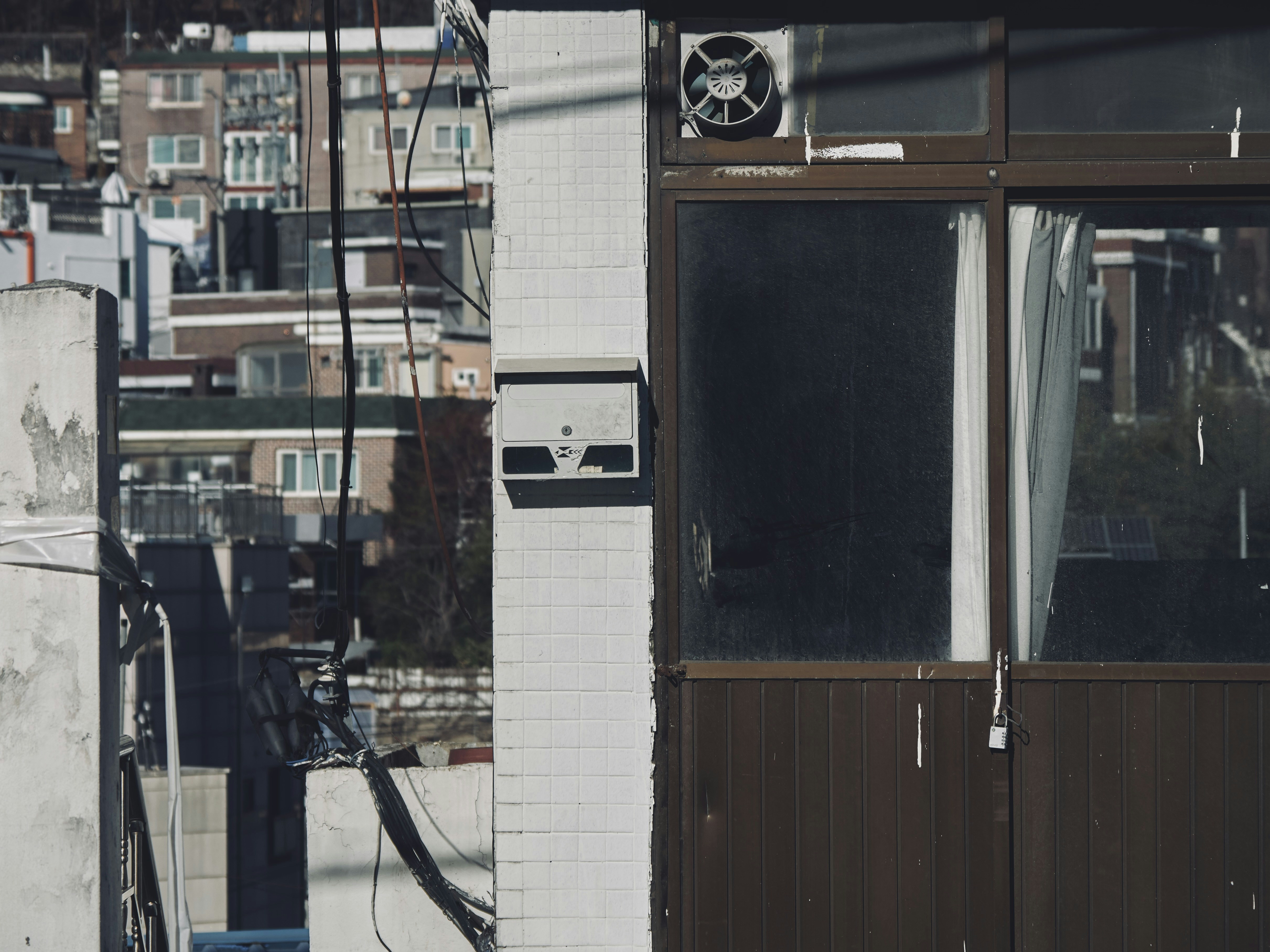 Photo by Clark Gu with OM System OM-5