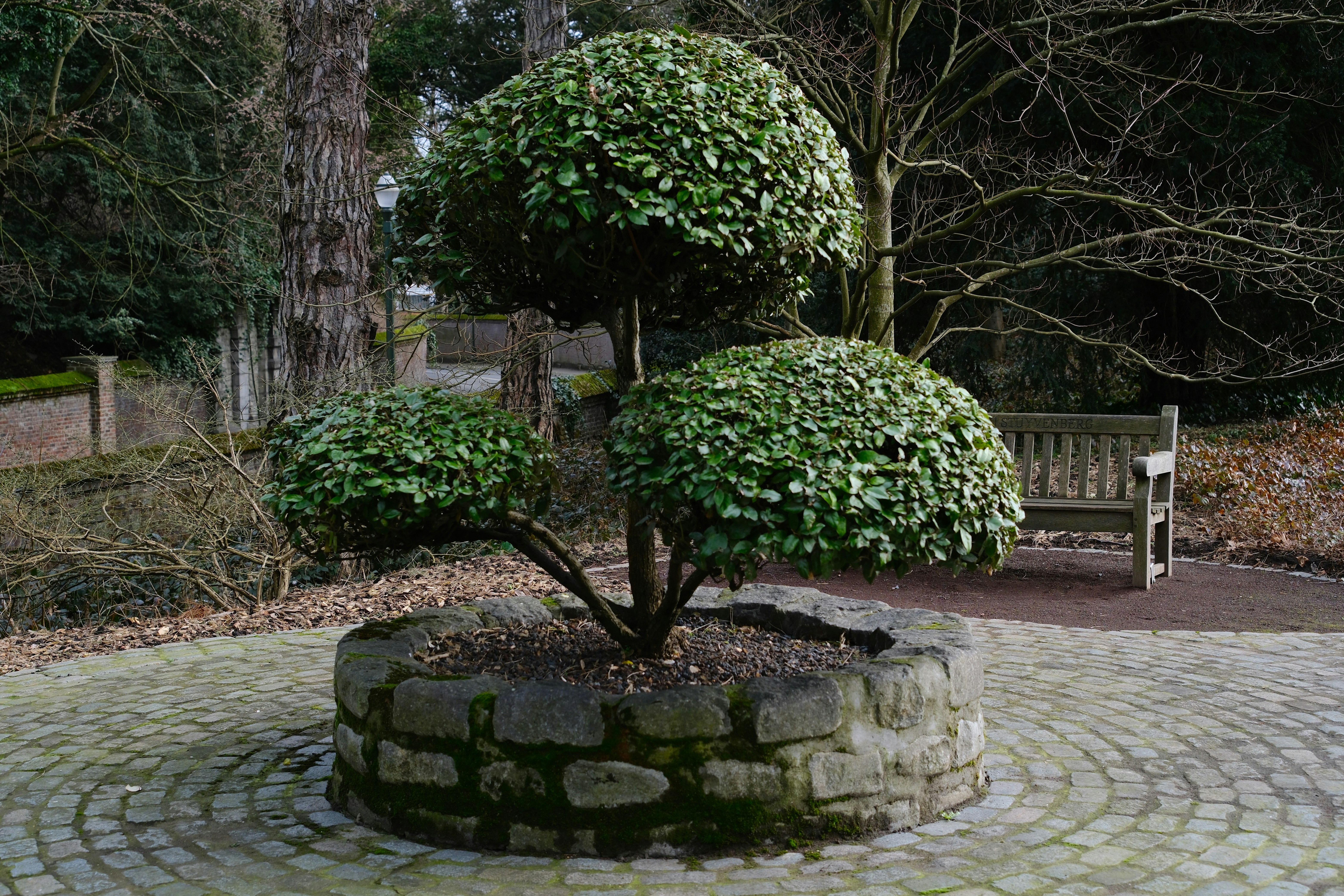 Photo by Jean-Luc Picard with Fujifilm X-S20