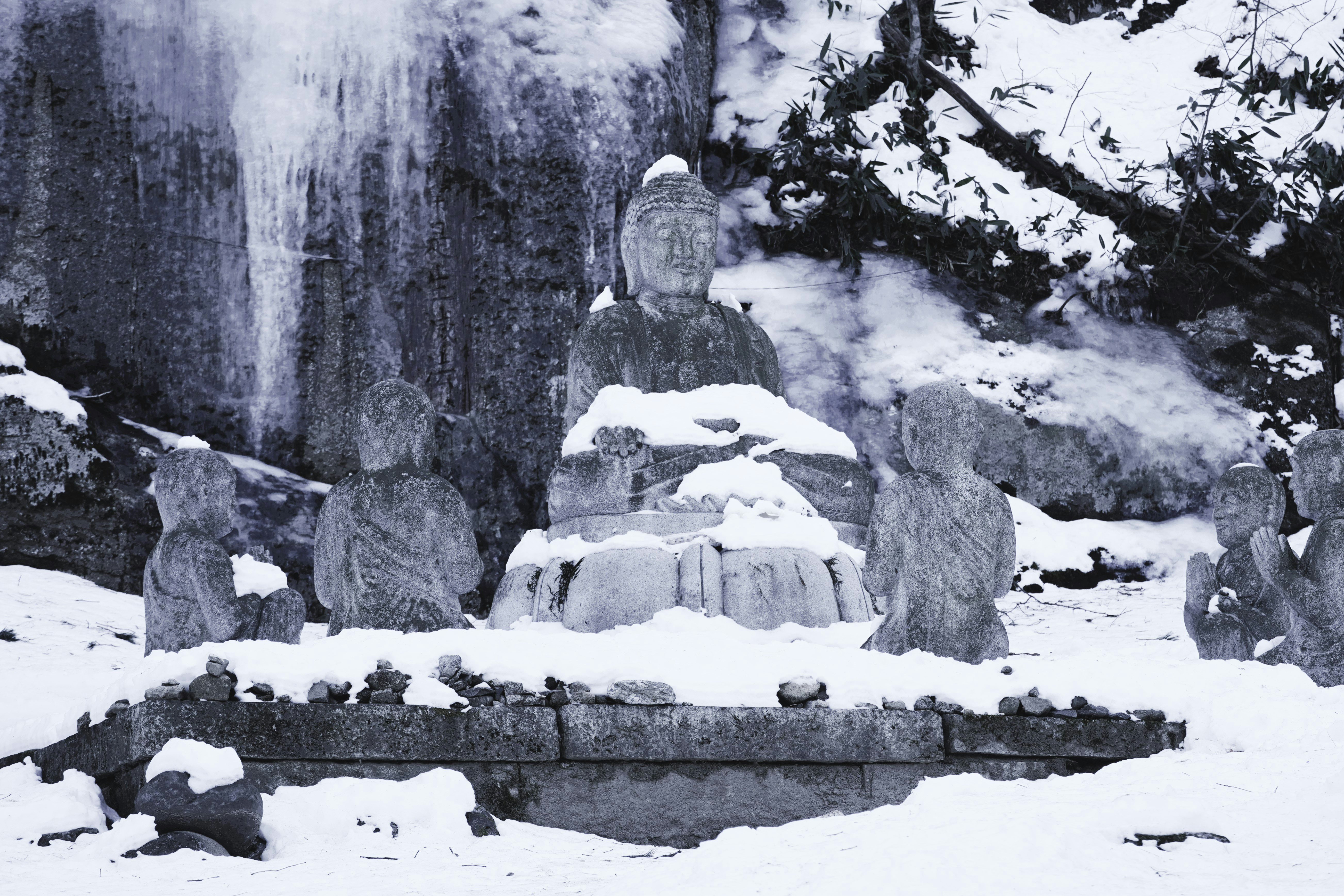 Snowbound Tranquility: Dumplings of Stone in Silent Winter