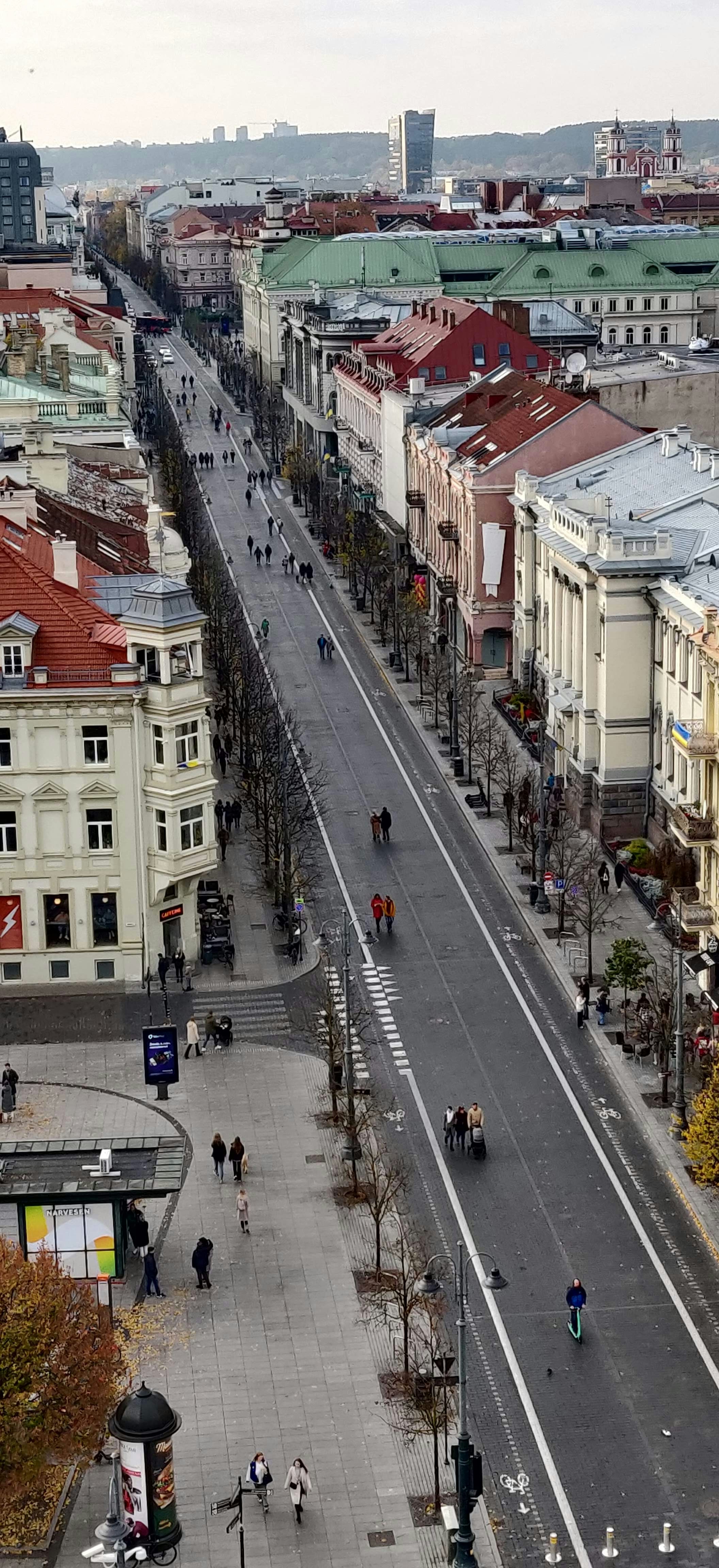 Photo by Matas Skarzauskas with OnePlus 6T