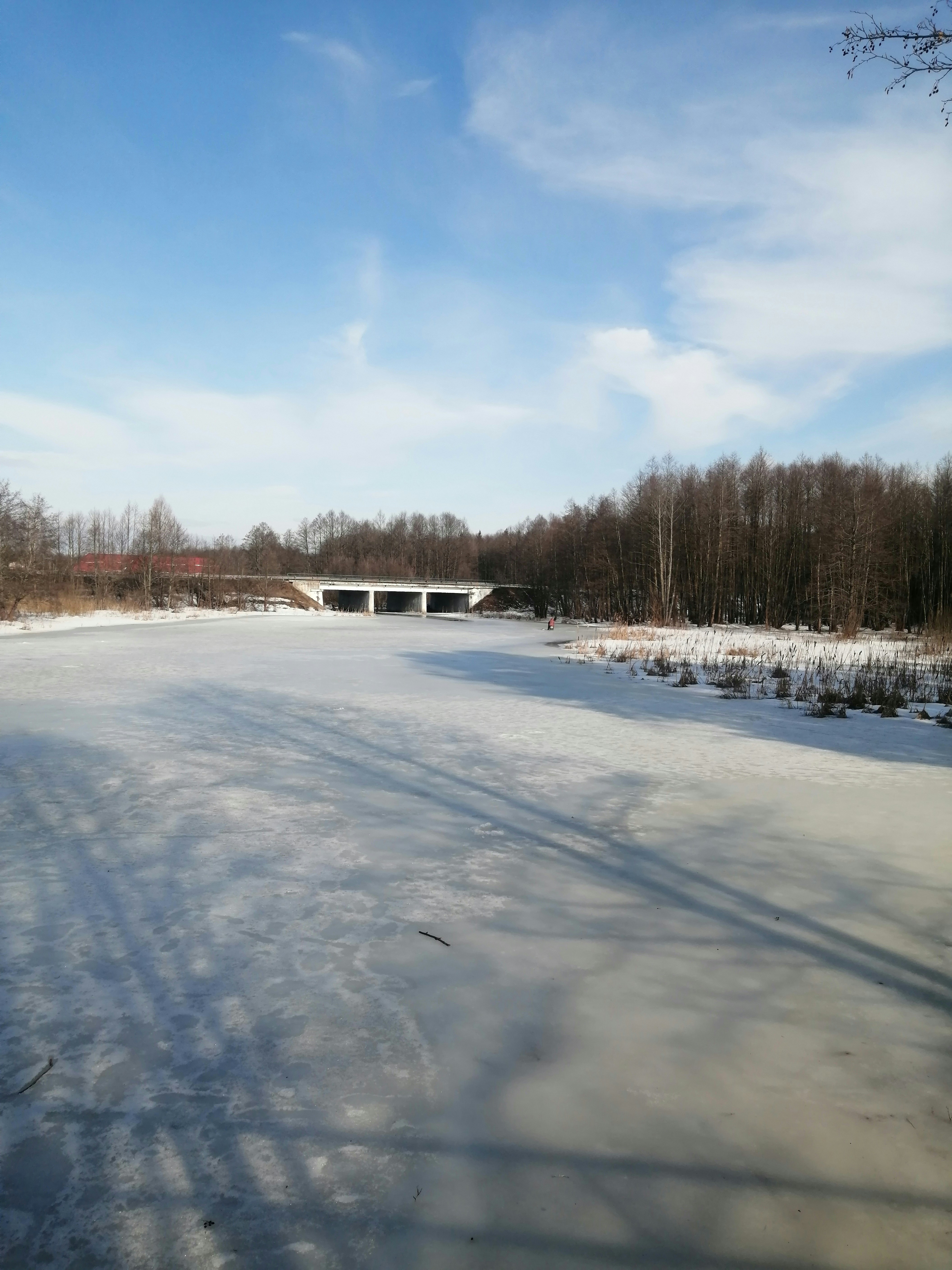 Bridge Crossing the Snowfield: Quiet Winter Horizon