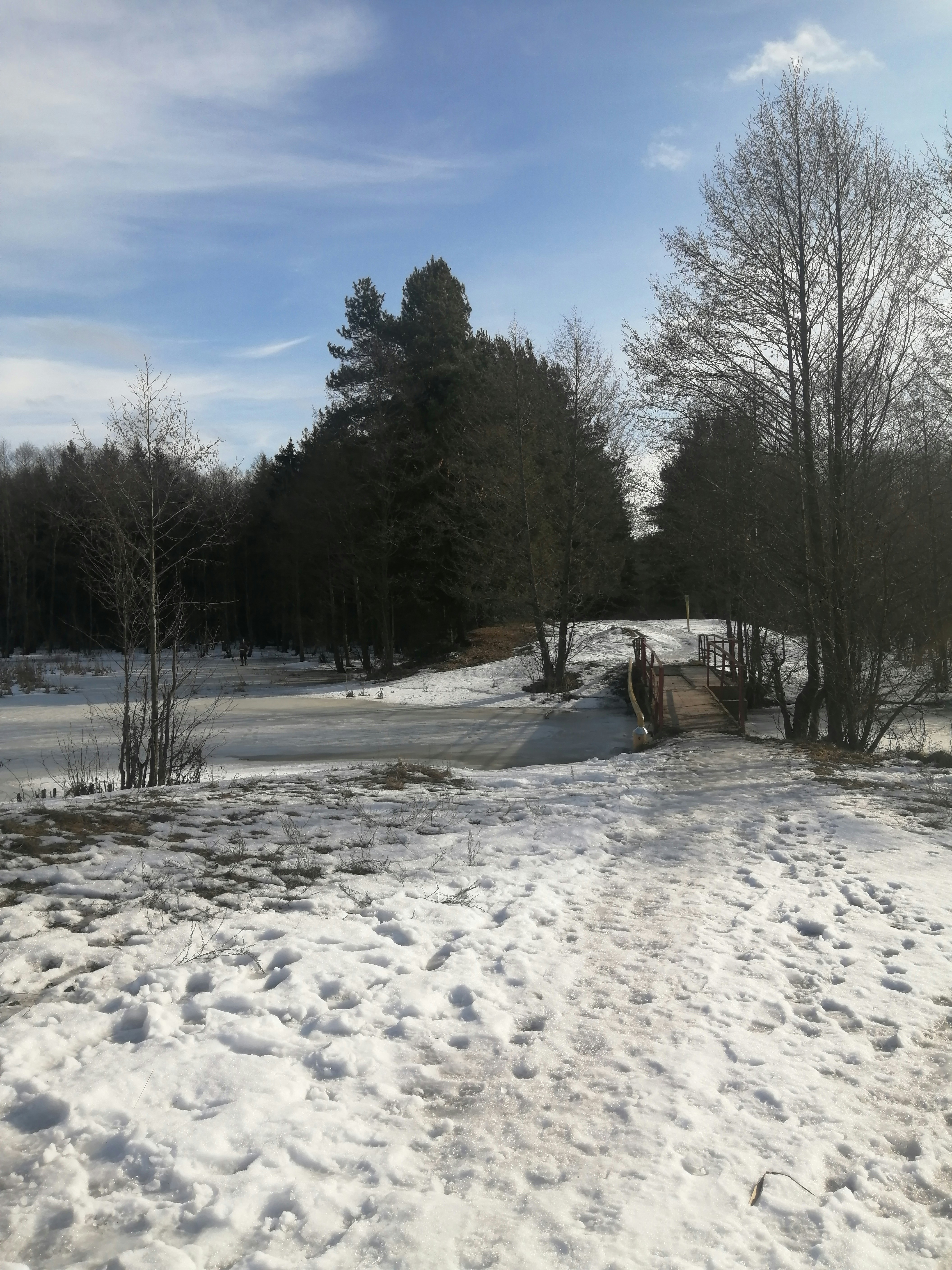 Bridgebound in Winter Light: A Quiet Snow-Dusted Park Walk
