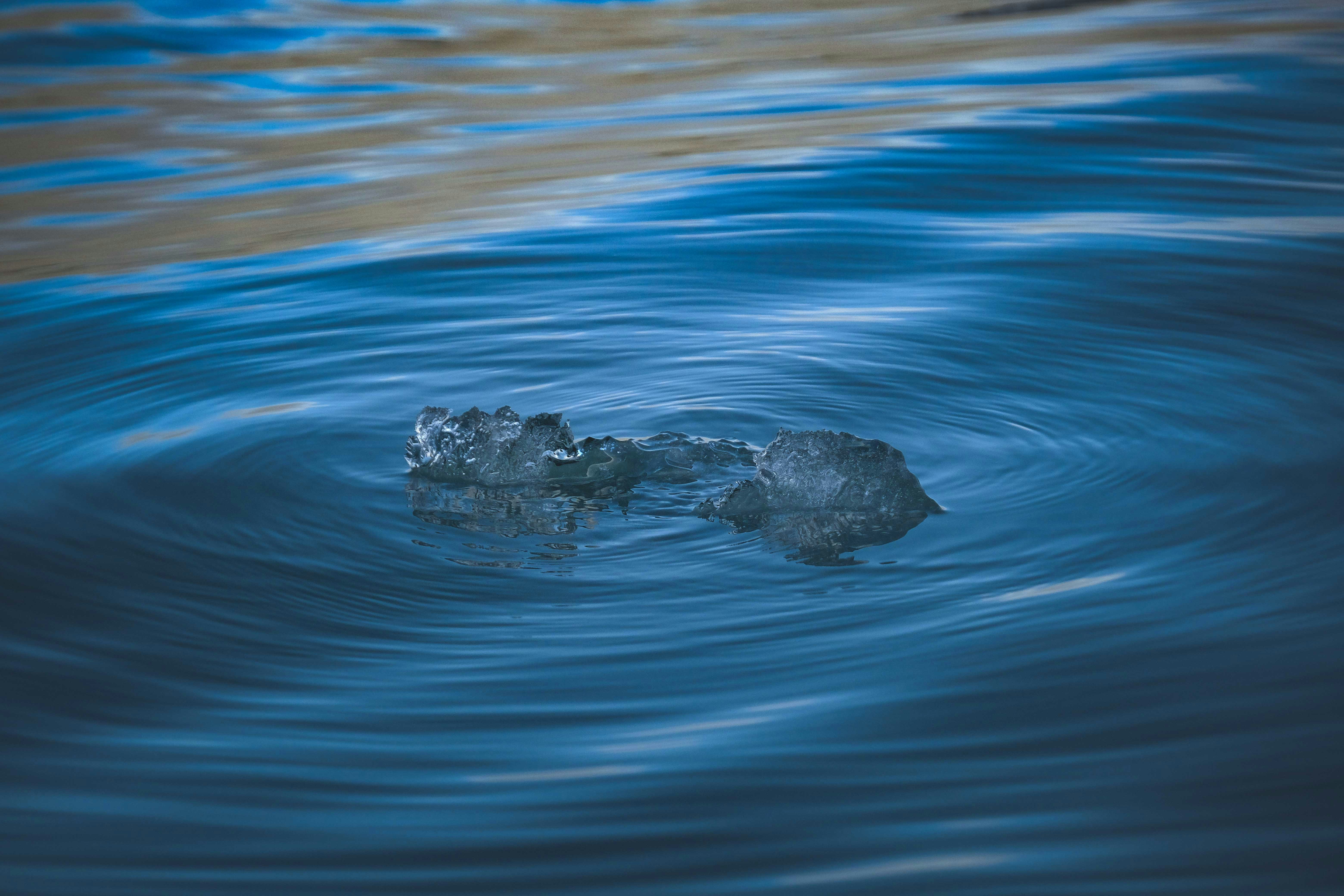 Ice Fragment on Midnight-Blue Ripples